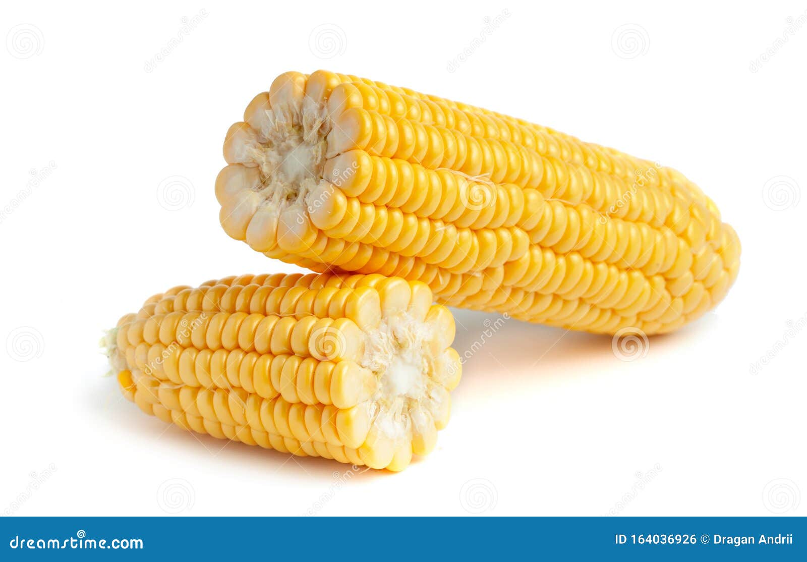 Corn Isolated on White Background. Stock Photo - Image of leaf ...