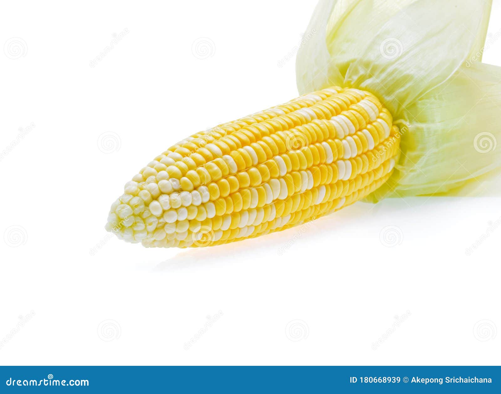 Corn Isolated on White Background Stock Image - Image of plant, fresh ...