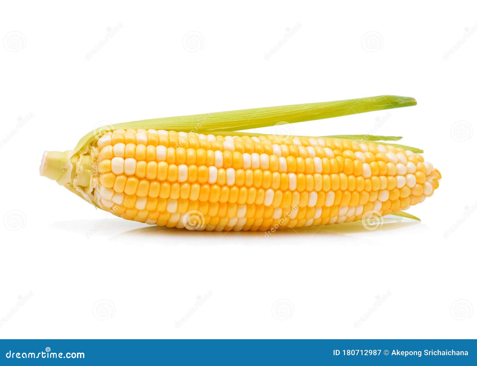 Corn Isolated on White Background Stock Illustration - Illustration of ...