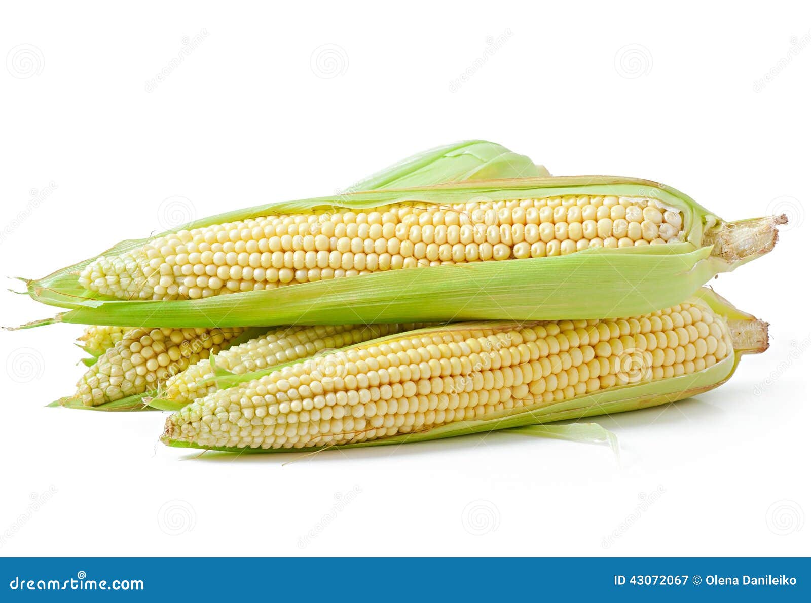 Corn Isolated on a White Background Stock Image - Image of fresh ...