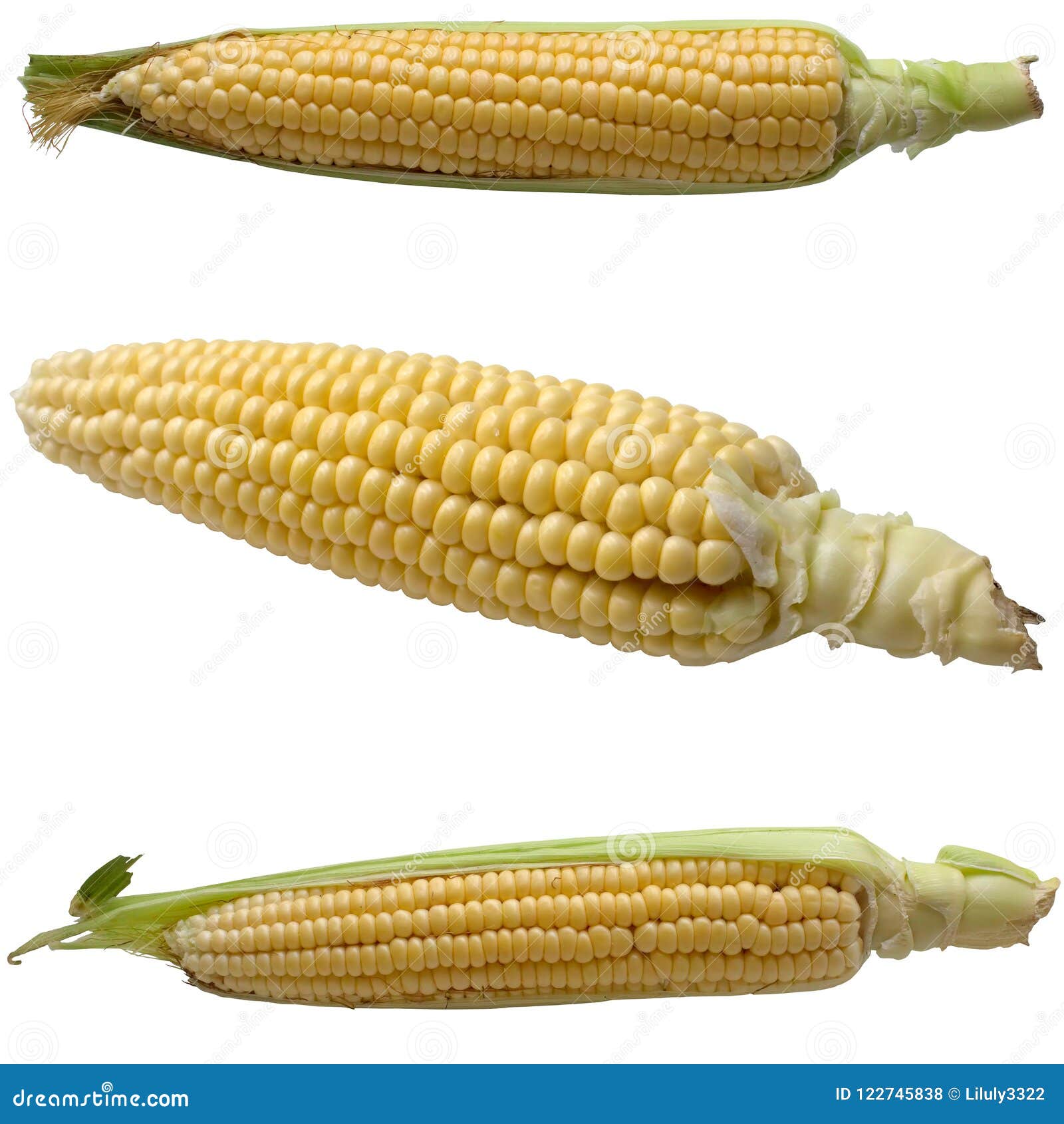 Corn Isolated on a White Background. Stock Photo - Image of isolated ...