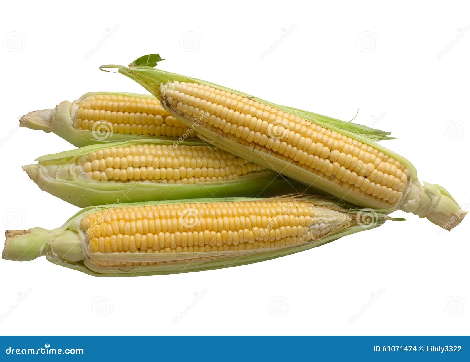Corn Isolated on a White Background. Stock Photo - Image of background ...