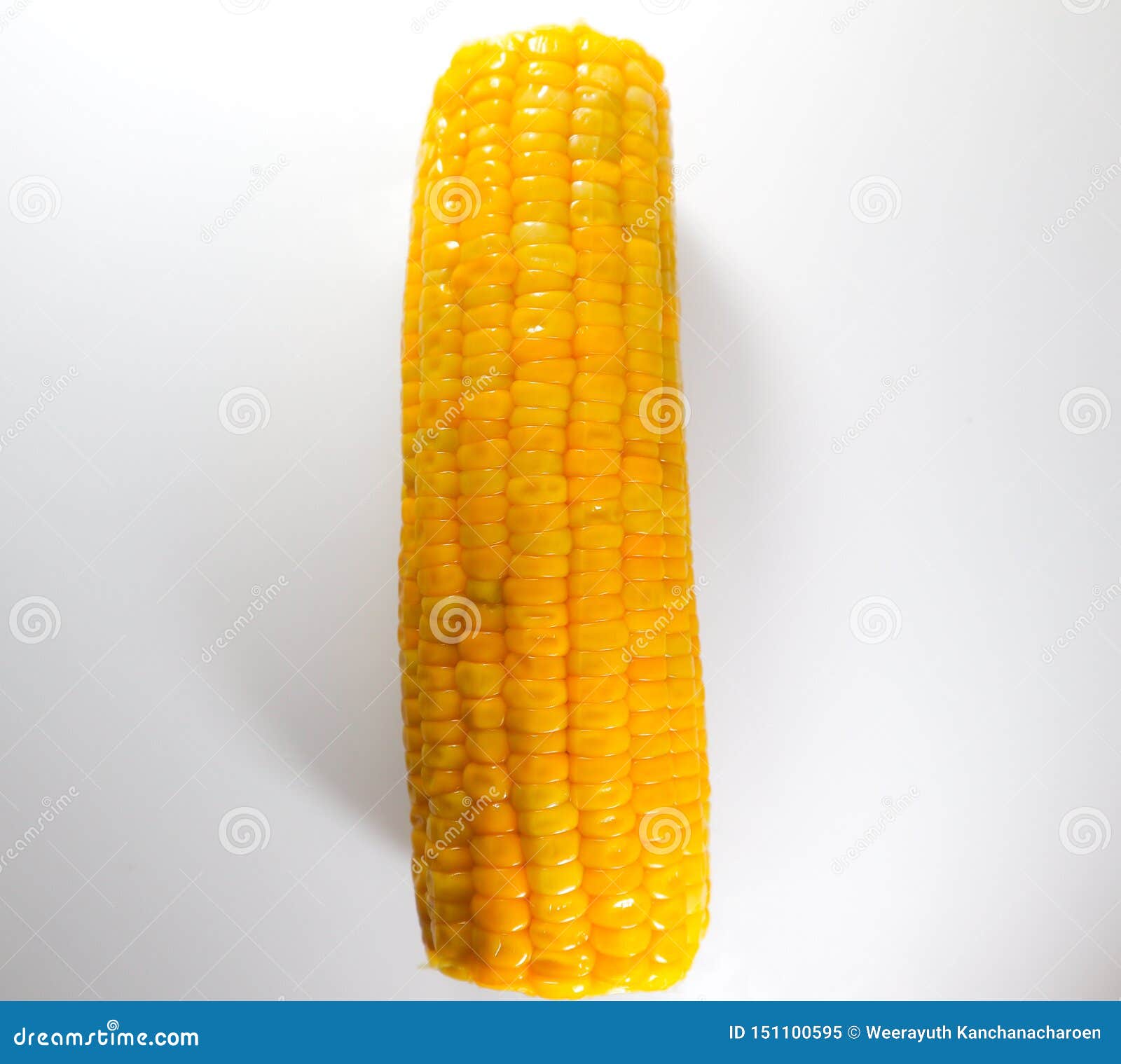 Corn Isolated on the White Background and Wallpaper Stock Image - Image ...