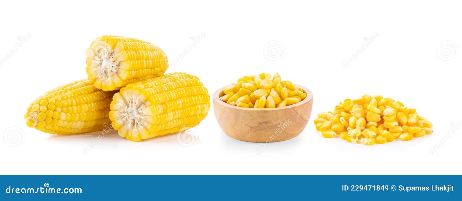 Corn isolated on white stock image. Image of ripe, grain - 229471849