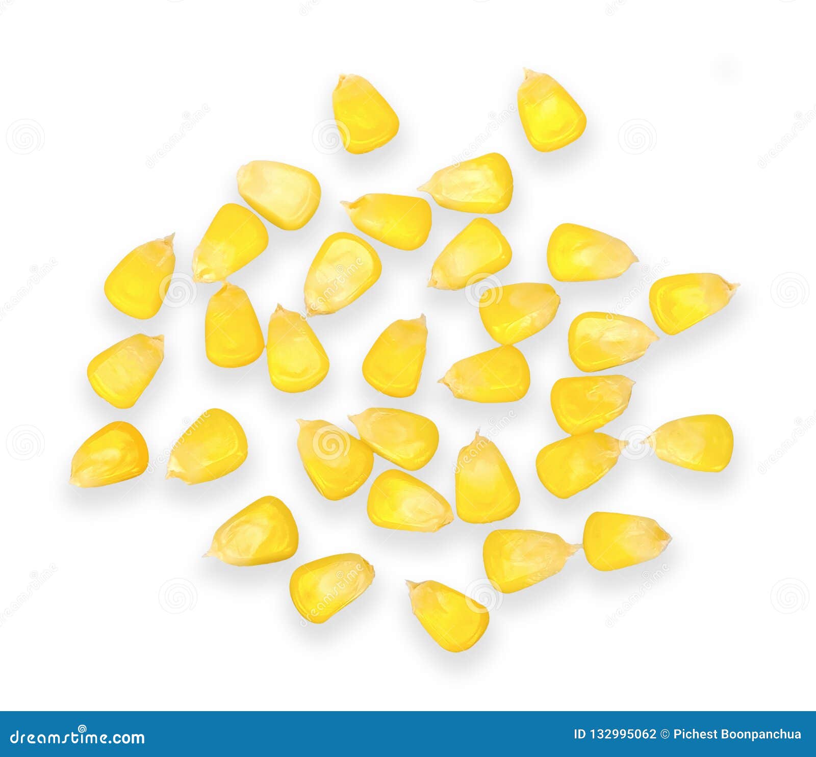 Corn Isolated on White with Top View Stock Photo - Image of macro ...