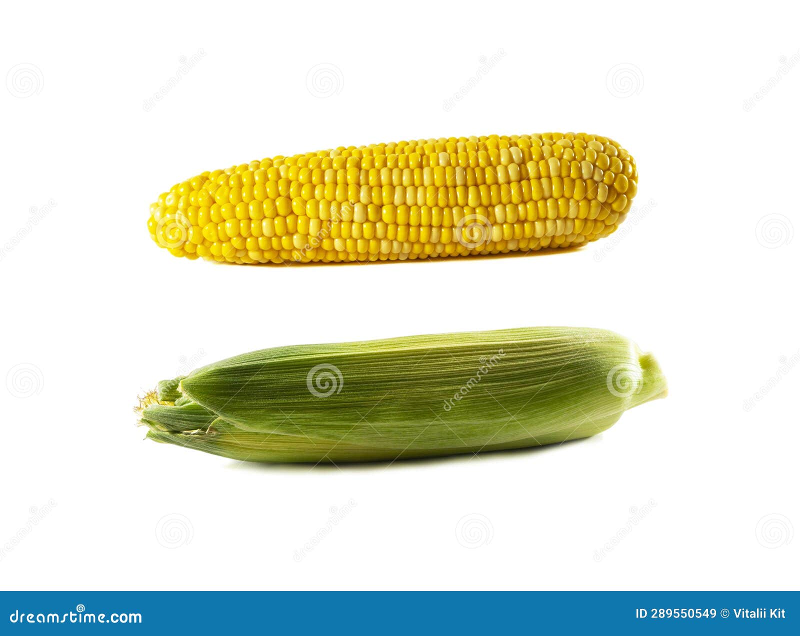 Corn Isolation. Corn on a White Background Stock Image - Image of ...