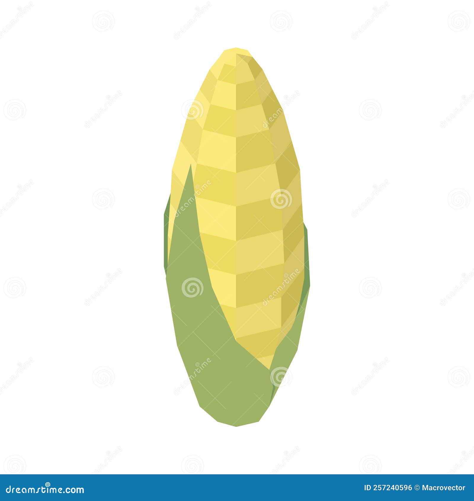 Corn Isometric Icon stock vector. Illustration of harvest - 257240596