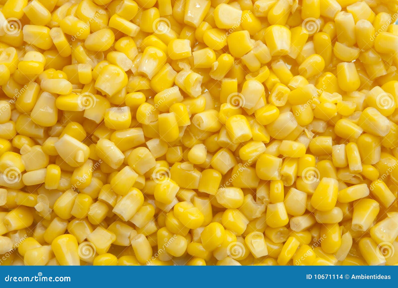 Corn Kernel Close Up stock photo. Image of ingredient - 10671114