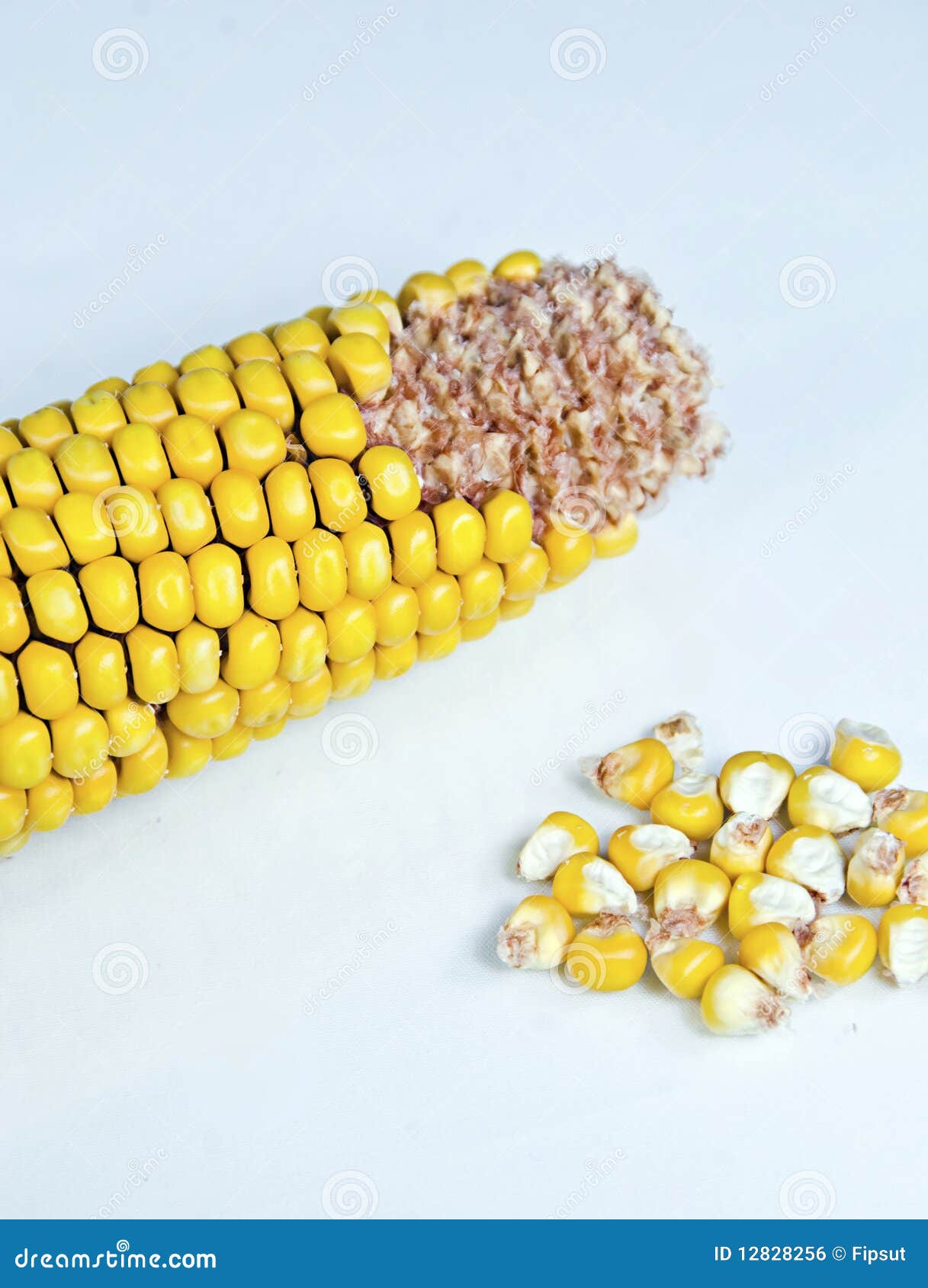 Corn Kernels stock photo. Image of colorful, gourmet - 12828256