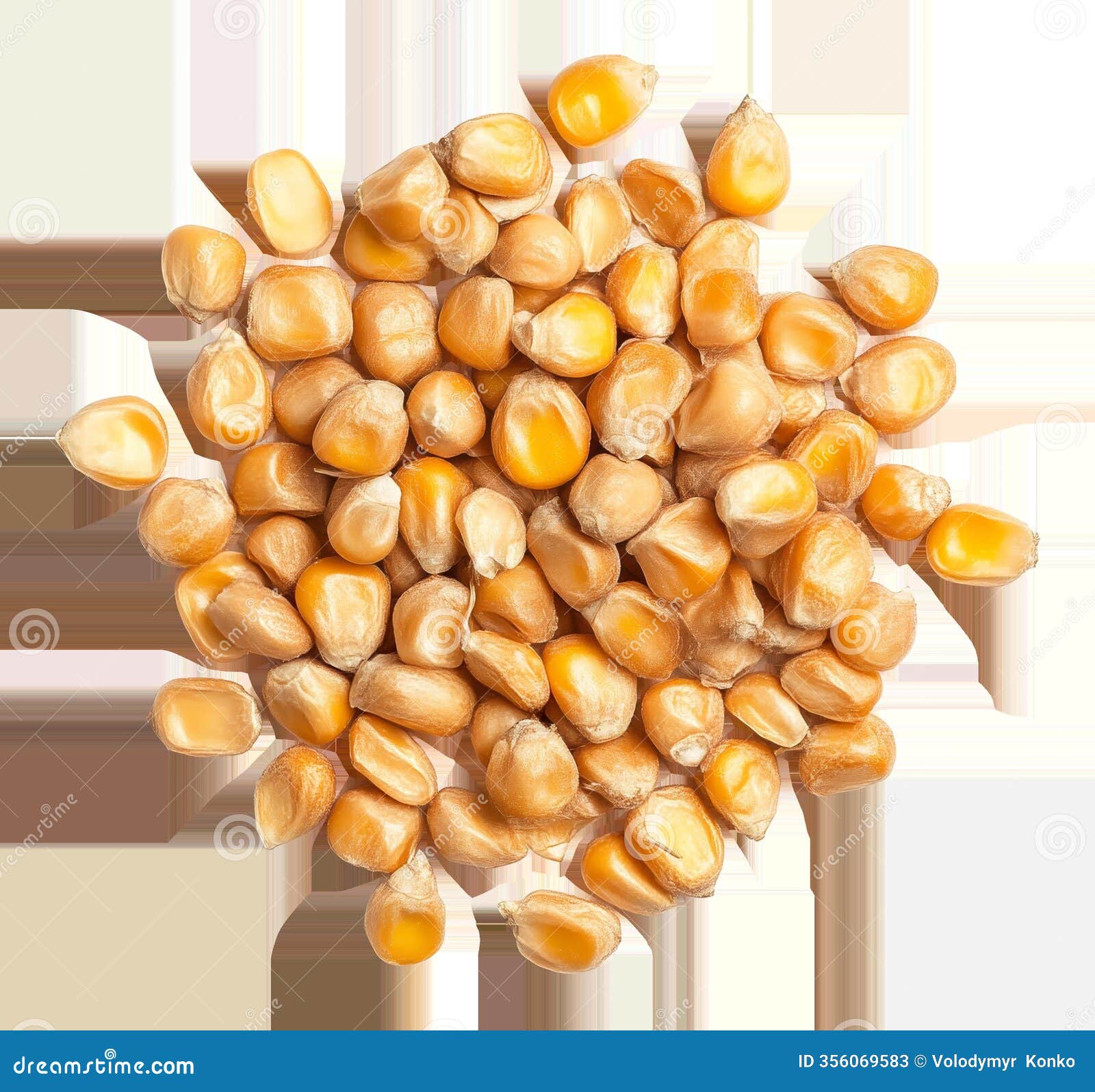 Corn Kernels Arranged on Transparent Background, Organic Food Concept ...