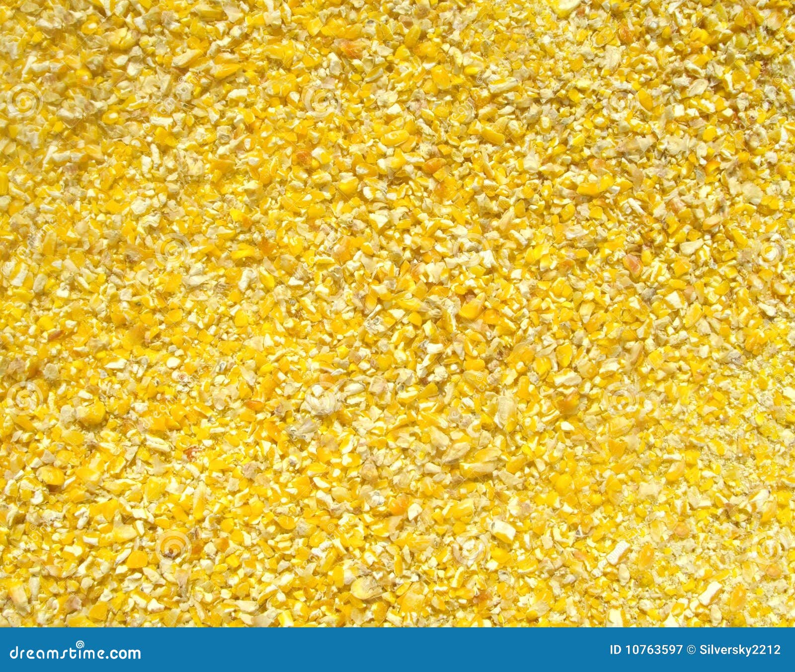 Corn Kernels As the Background Stock Image - Image of growth, corn ...
