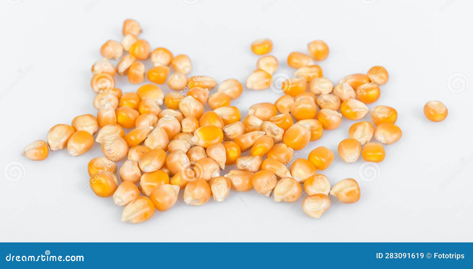 Corn Kernels : Close-up of Organic Yellow Corn Seed, Dried Corn Kernels ...