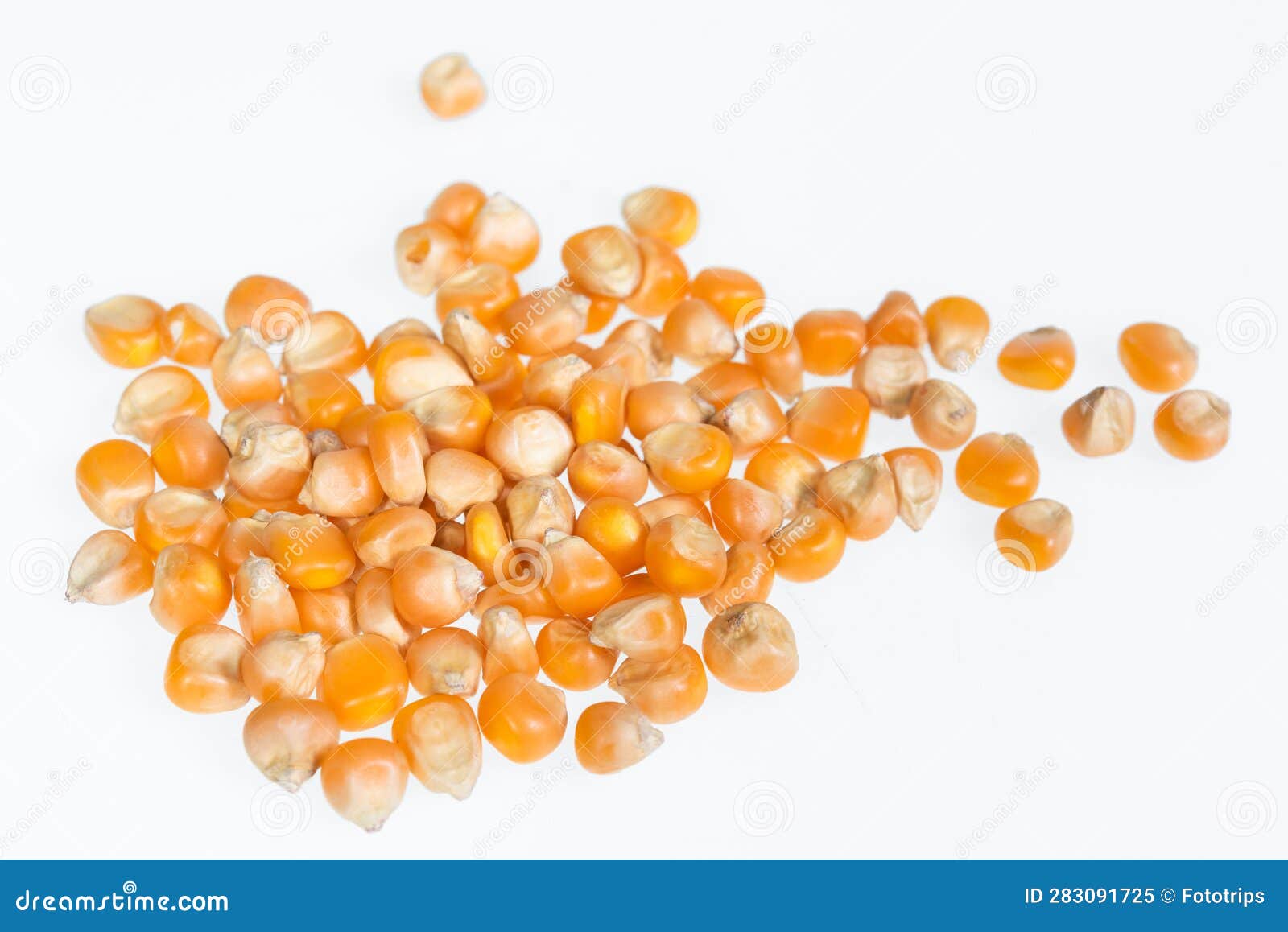 Corn Kernels : Close-up of Organic Yellow Corn Seed, Dried Corn Kernels ...