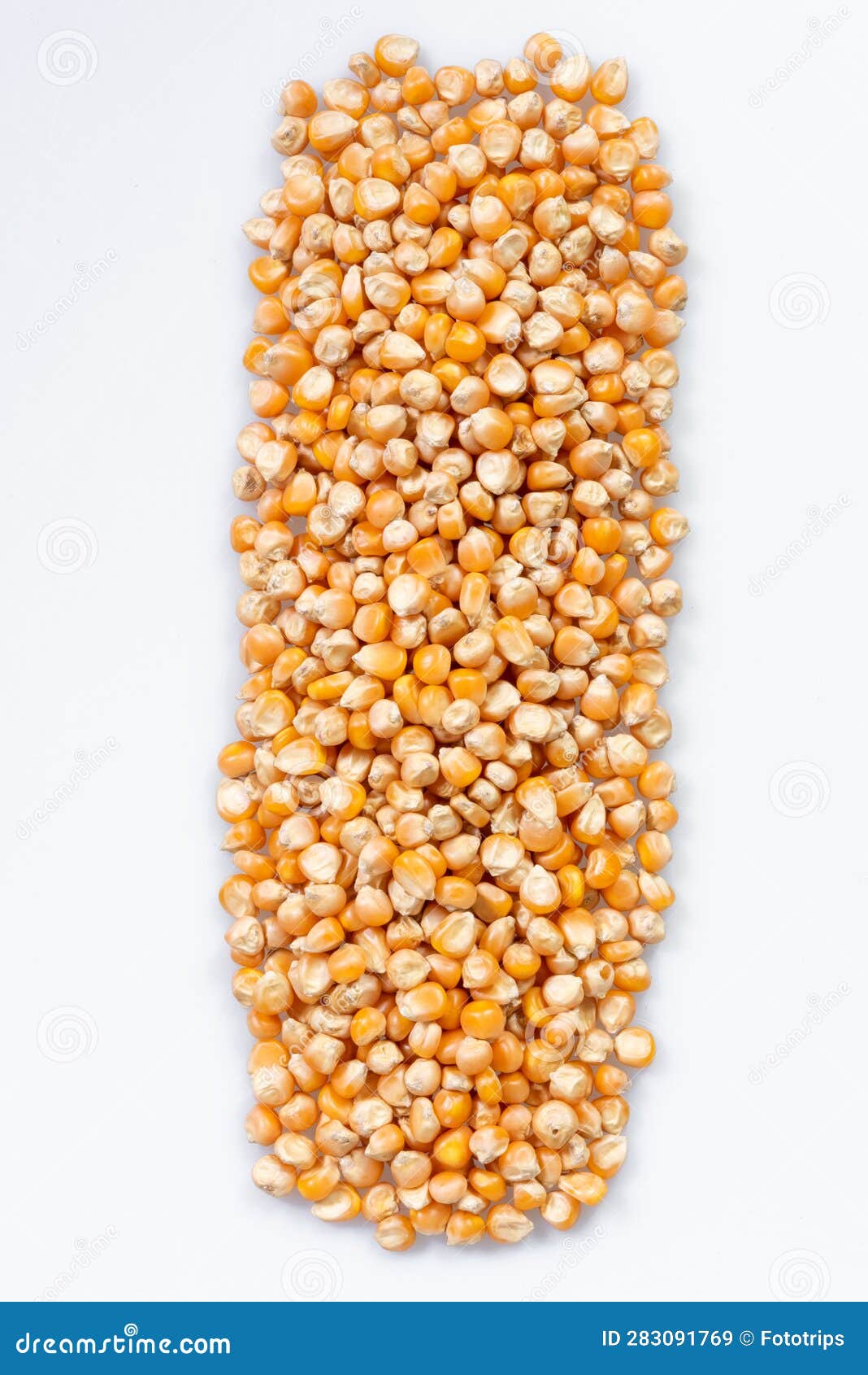 Corn Kernels : Close-up of Organic Yellow Corn Seed, Dried Corn Kernels ...
