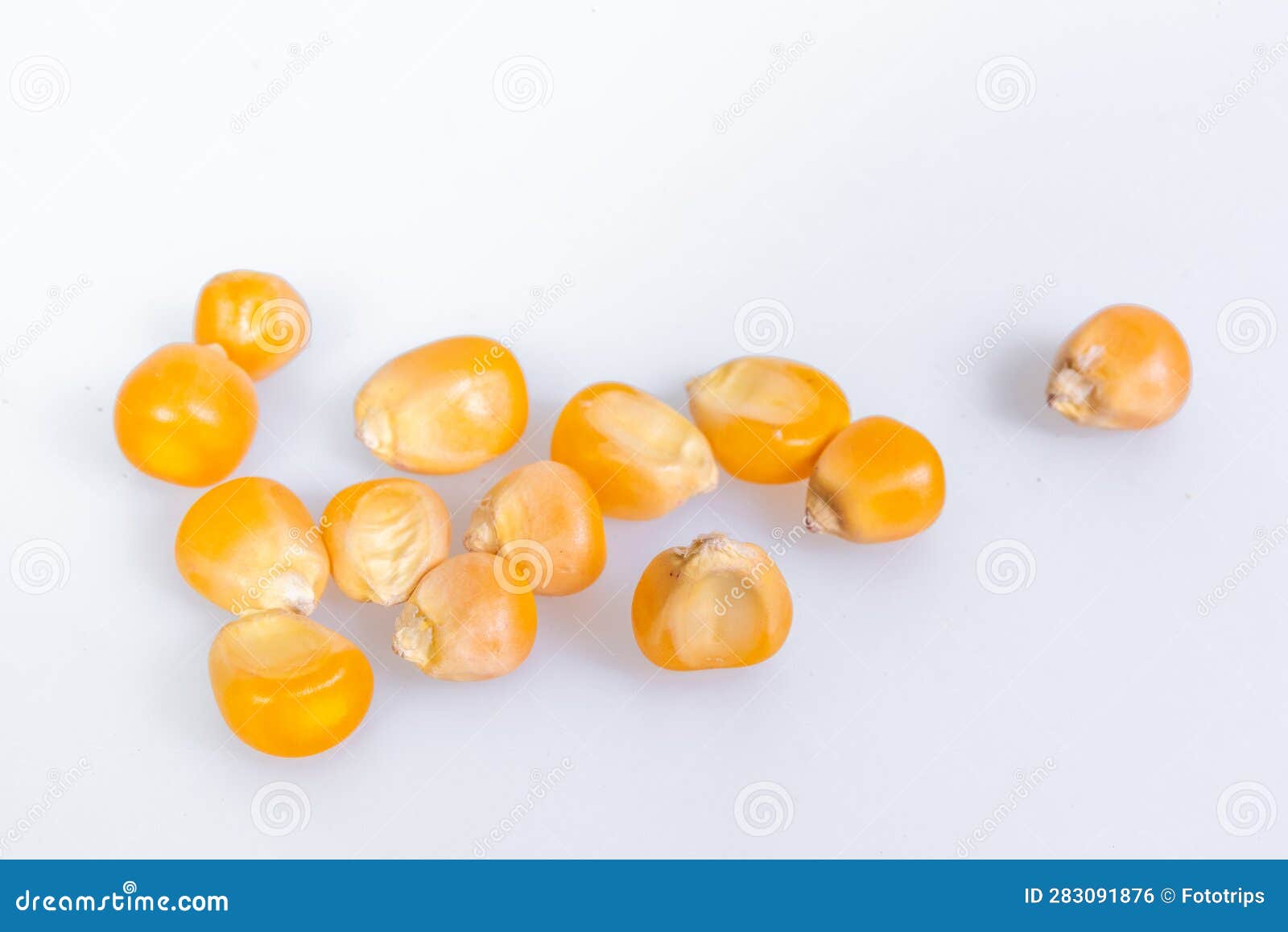 Corn Kernels : Close-up of Organic Yellow Corn Seed, Dried Corn Kernels ...