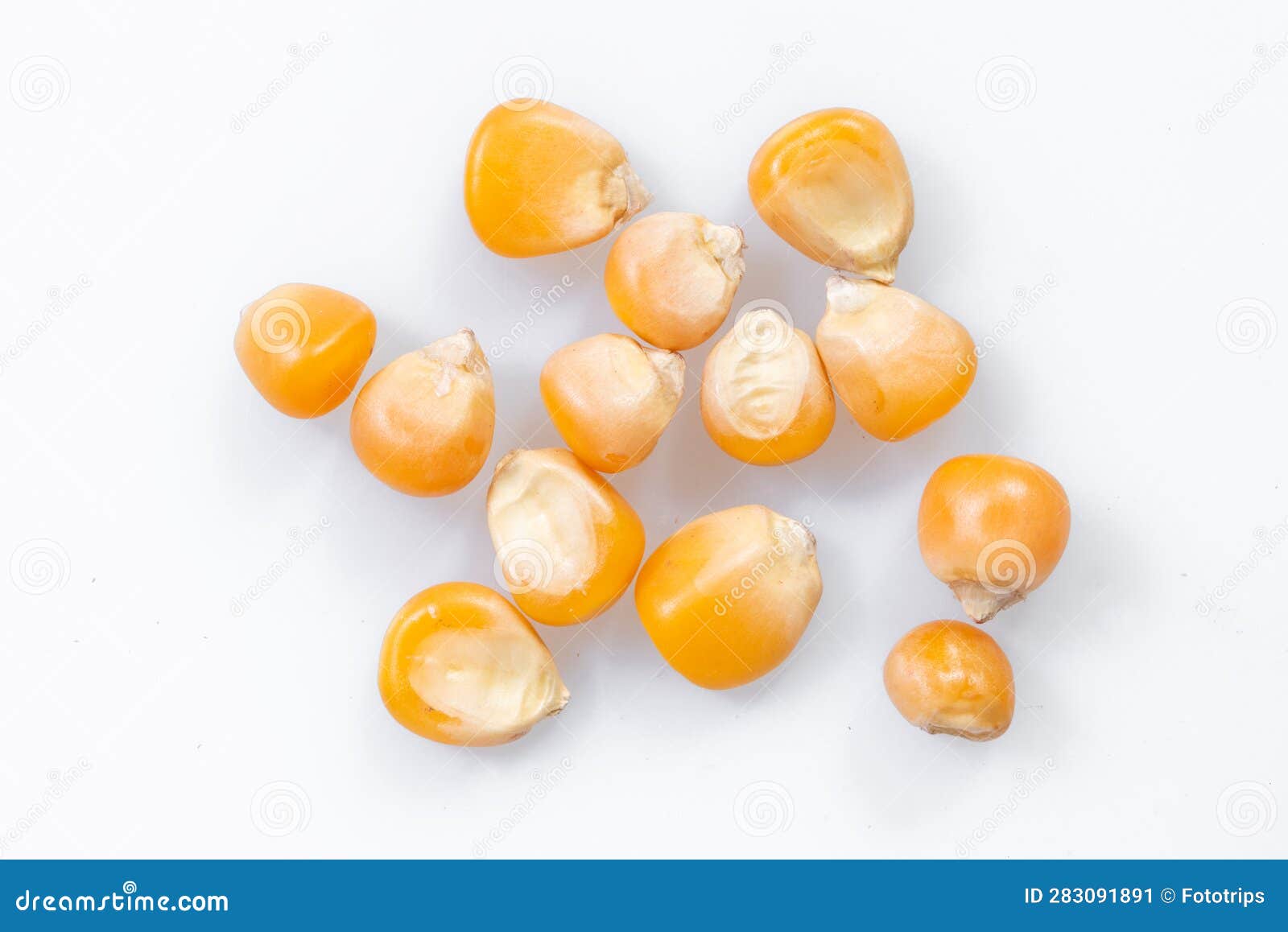 Corn Kernels : Close-up of Organic Yellow Corn Seed, Dried Corn Kernels ...