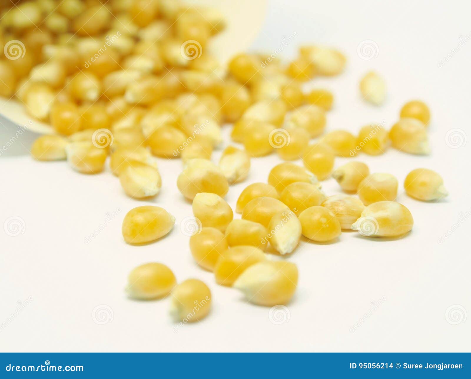 Corn Kernels Close Up on White Background Stock Photo - Image of corn ...