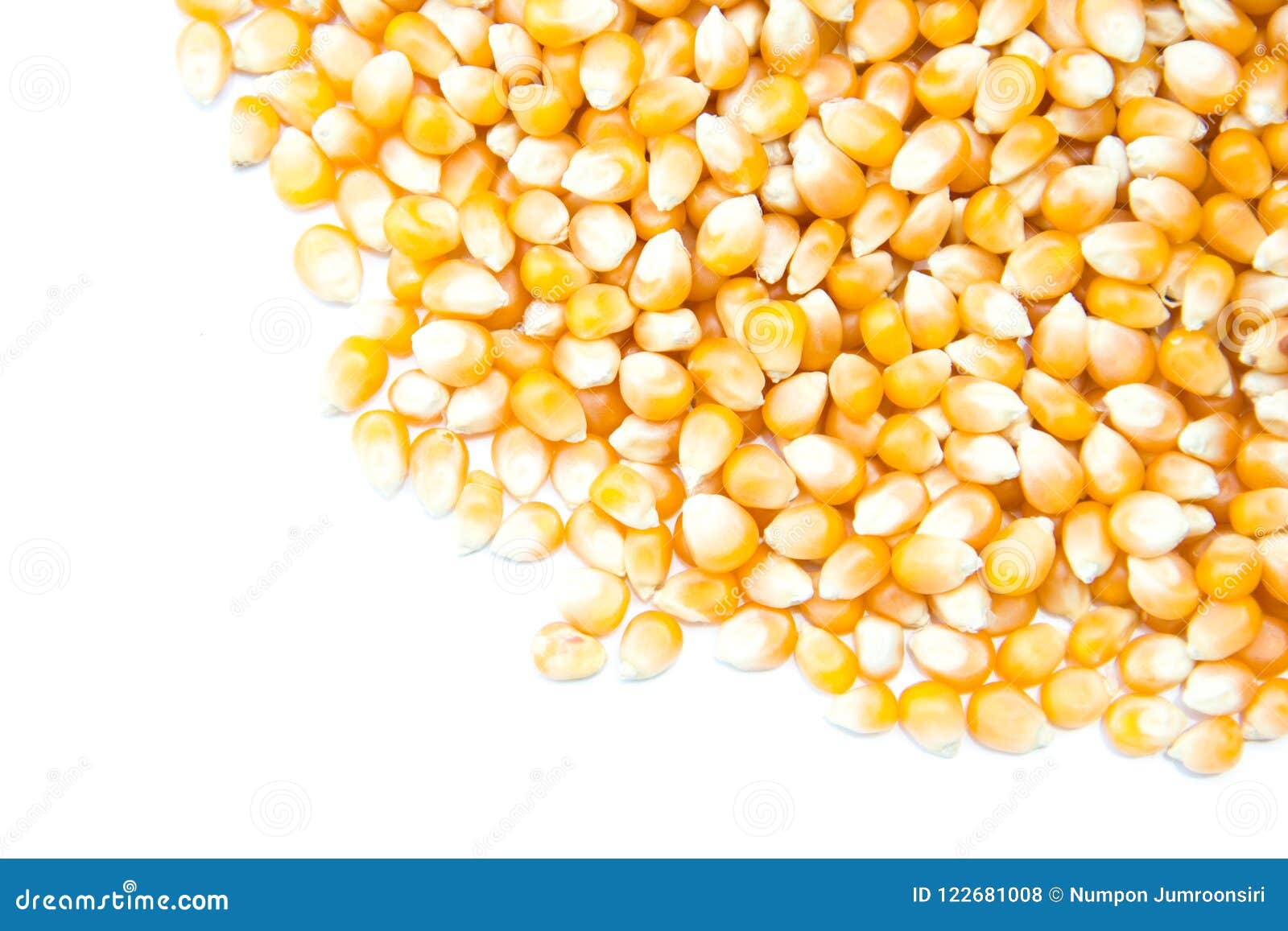 Corn Kernels stock photo. Image of seed, natural, maize - 122681008