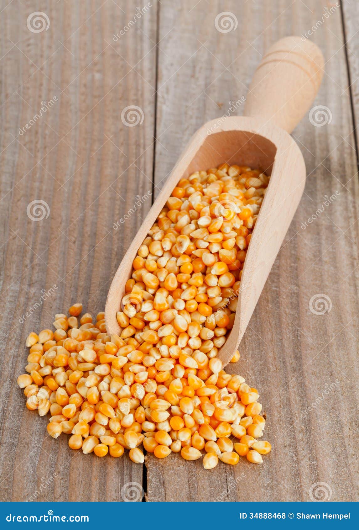 Corn kernels stock photo. Image of ingredient, vegetarian - 34888468