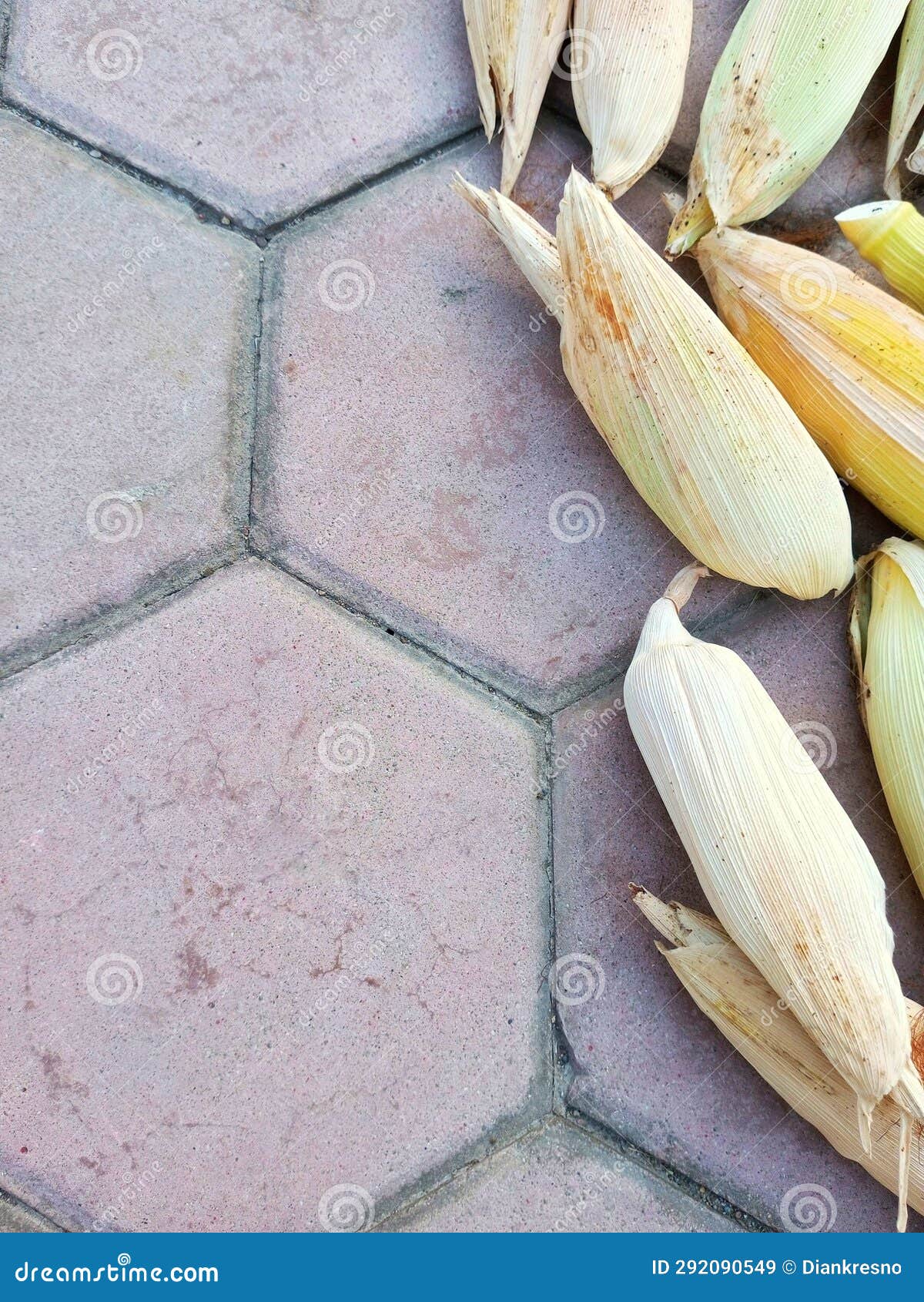 Corn Kernels Drying on the Floor Stock Image - Image of corn, drying ...