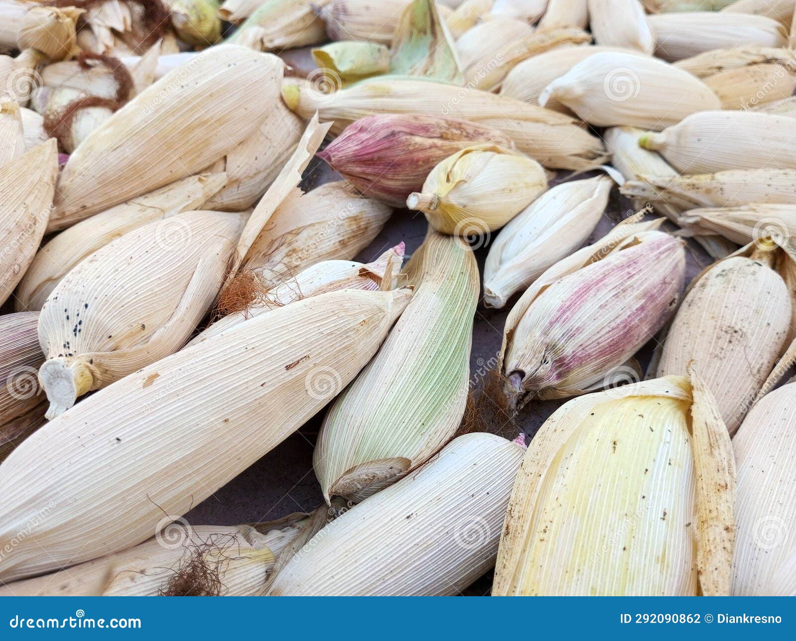 Corn Kernels Drying on the Floor Stock Photo - Image of agriculture ...
