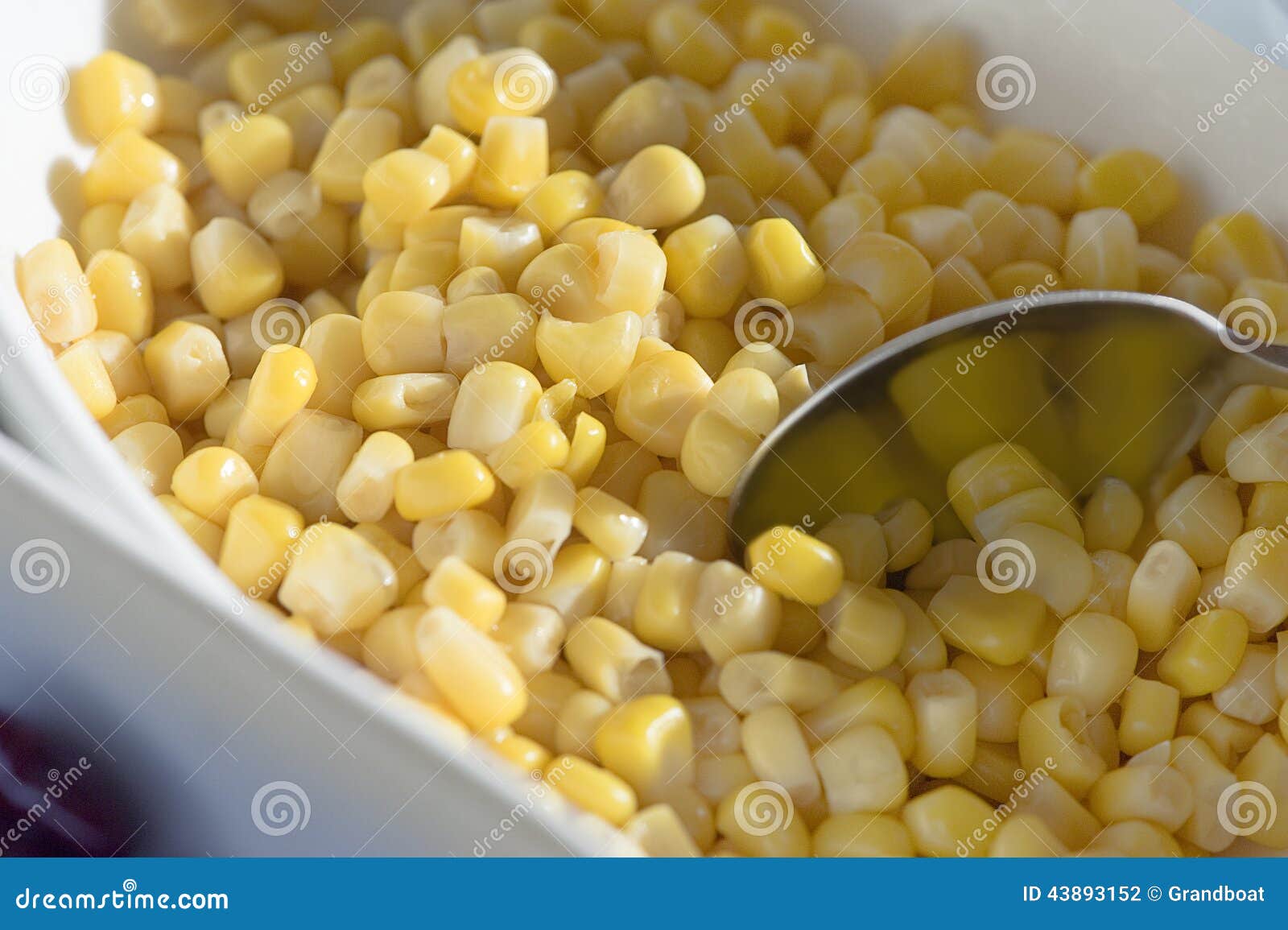 Corn kernels stock photo. Image of organic, cooked, dishes - 43893152