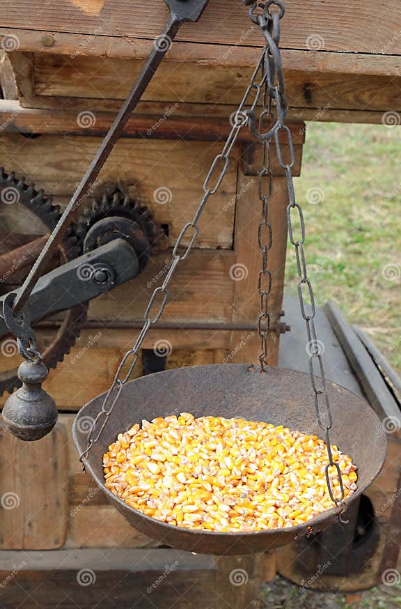 Corn Kernels in an Old Weighing Scale Stock Image - Image of balances ...