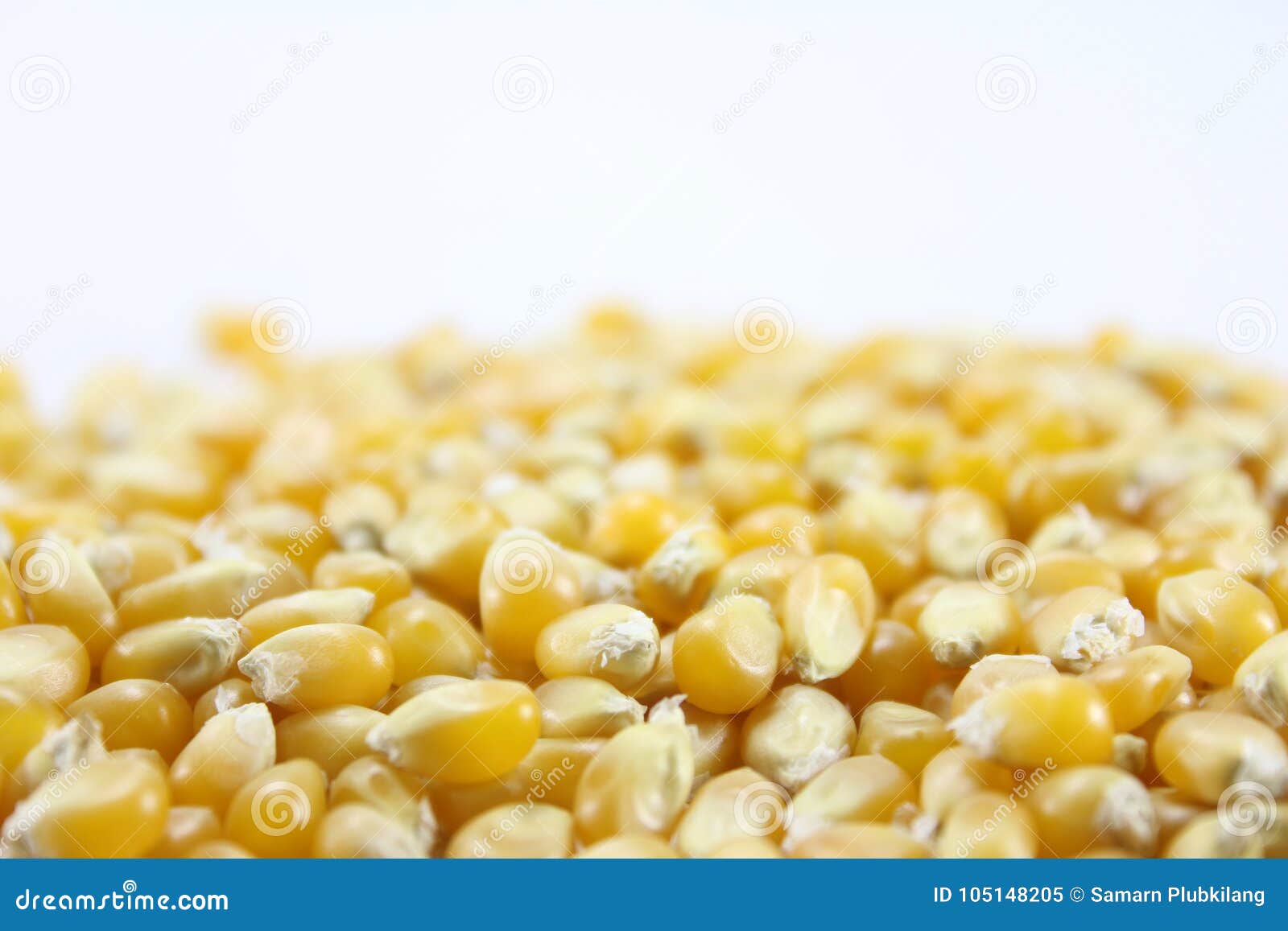 Corn kernels stock image. Image of delicious, close - 105148205