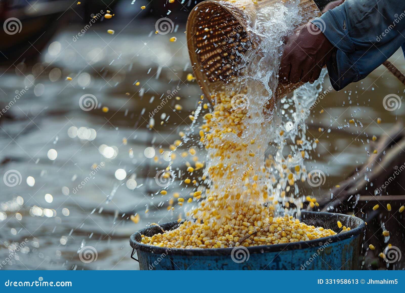 Corn Kernels Pouring into a Bucket Stock Illustration - Illustration of ...