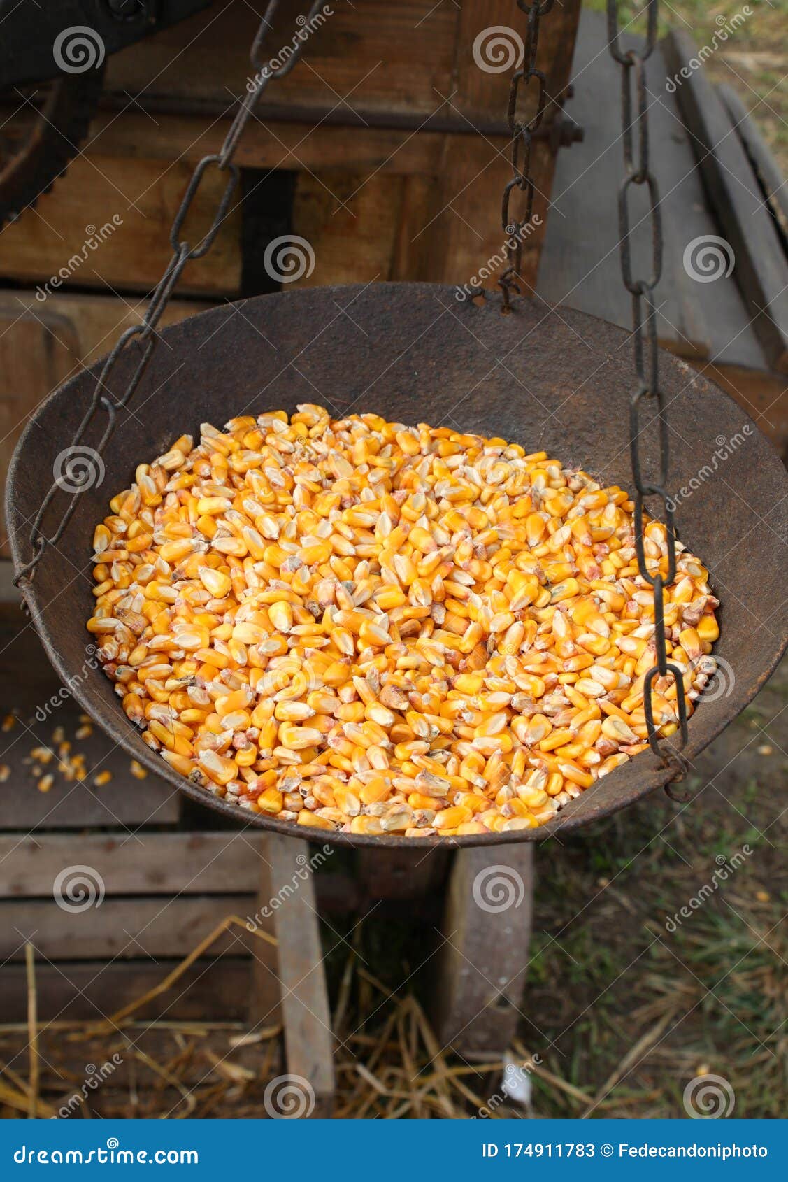 Corn Kernels in a Rusty Weighing Scale Stock Image - Image of farmer ...