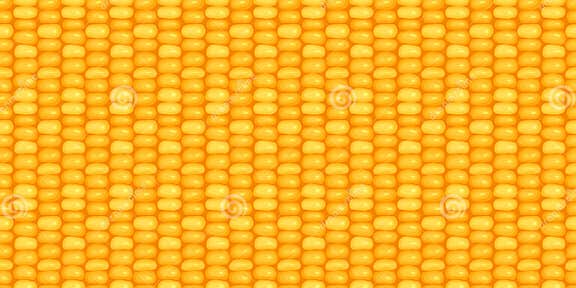 Corn Kernels, Seeds, Grains, Texture Seamless Pattern Design. Fresh ...