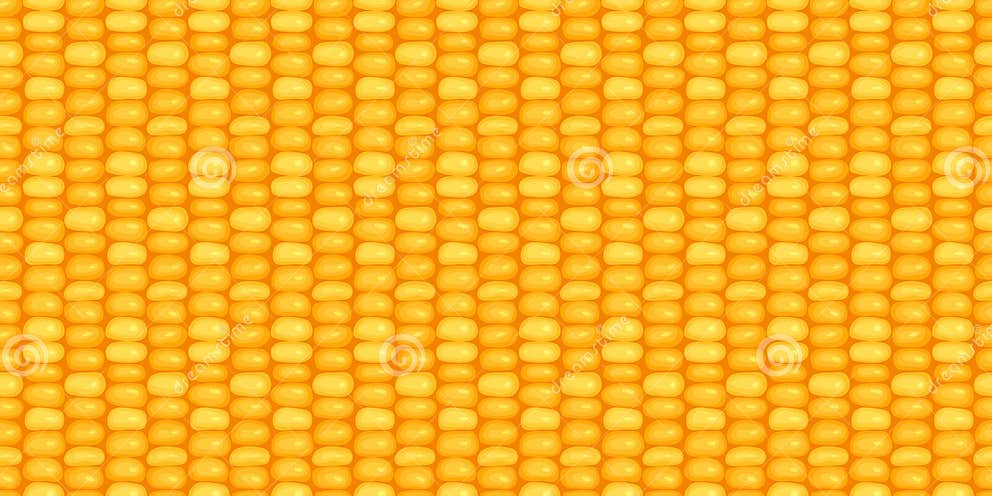 Corn Kernels, Seeds, Grains, Texture Seamless Pattern Design. Fresh ...