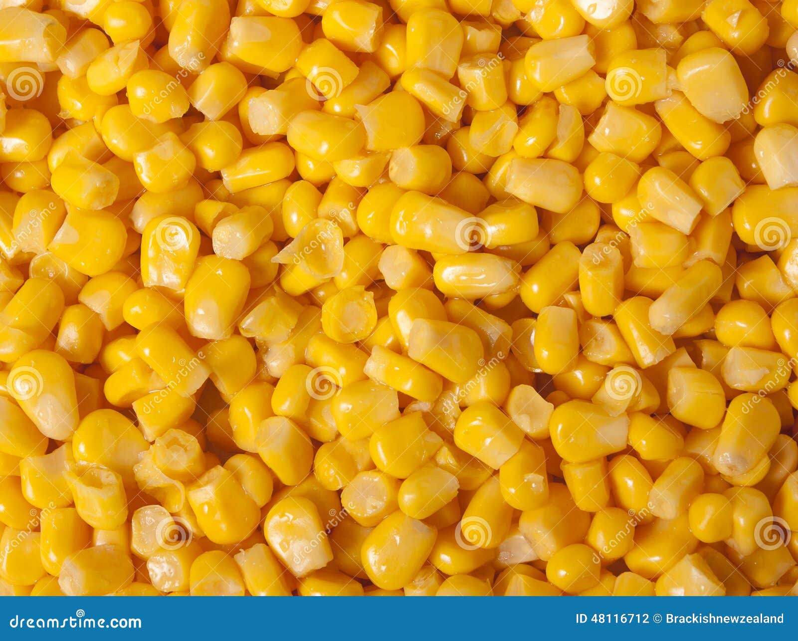 Corn Kernels stock photo. Image of food, healthy, cooking - 48116712