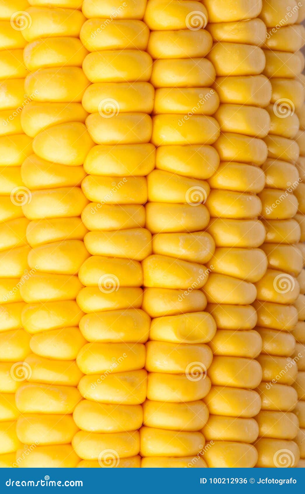 Corn kernels stock photo. Image of tweezers, green, hands - 100212936