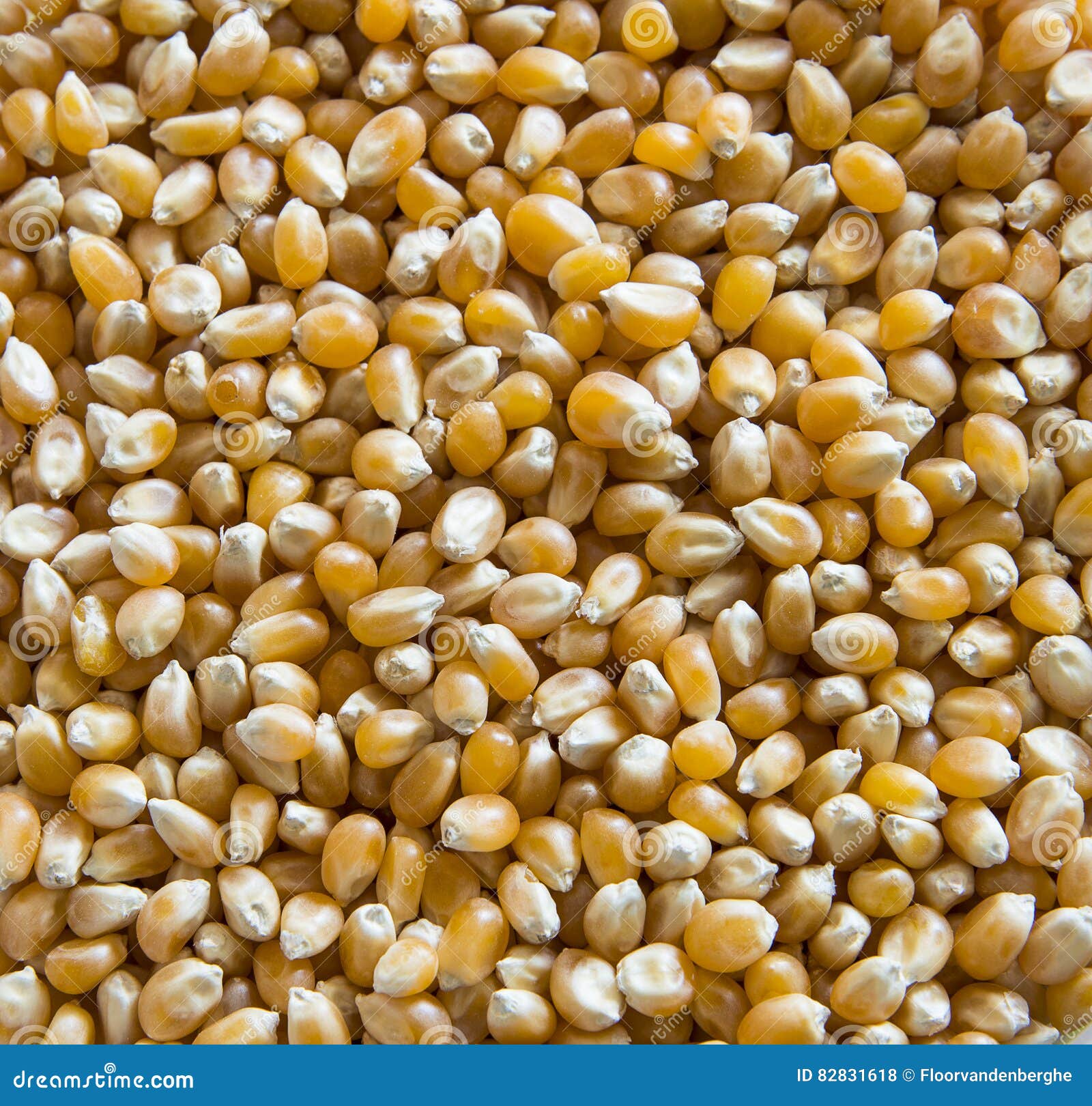 Corn kernels Texture stock photo. Image of pellet, kernels - 82831618