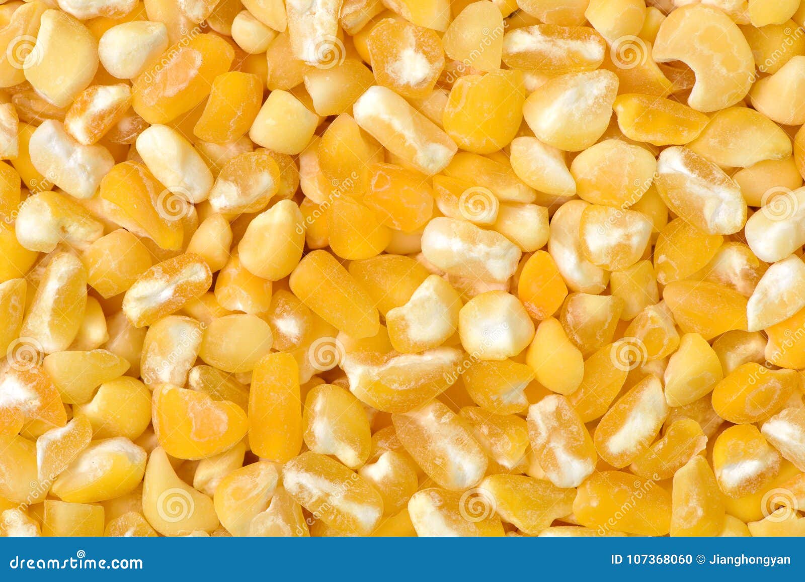 Corn kernels stock photo. Image of healthy, organic - 107368060