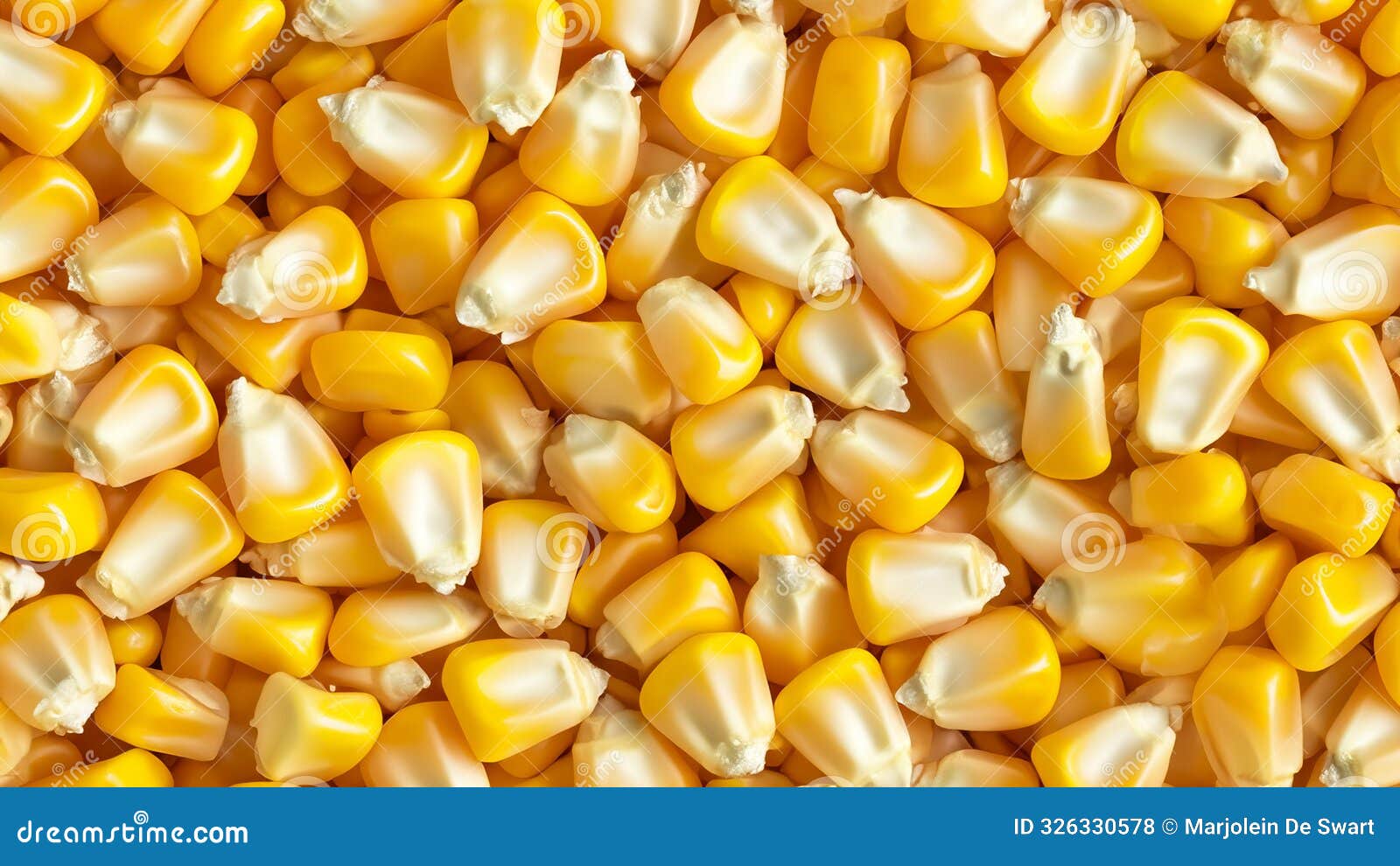 Corn Kernels Top View Background Stock Photo - Image of yellow, golden ...