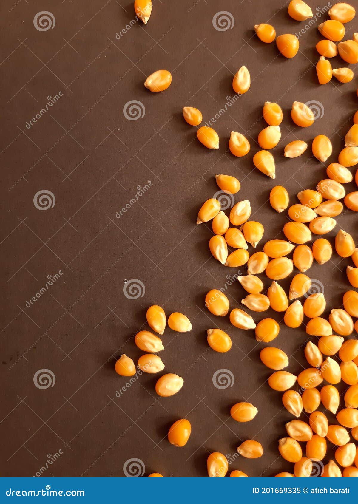 Corn Kernels on a Dark Background Stock Image - Image of herb, kernels ...