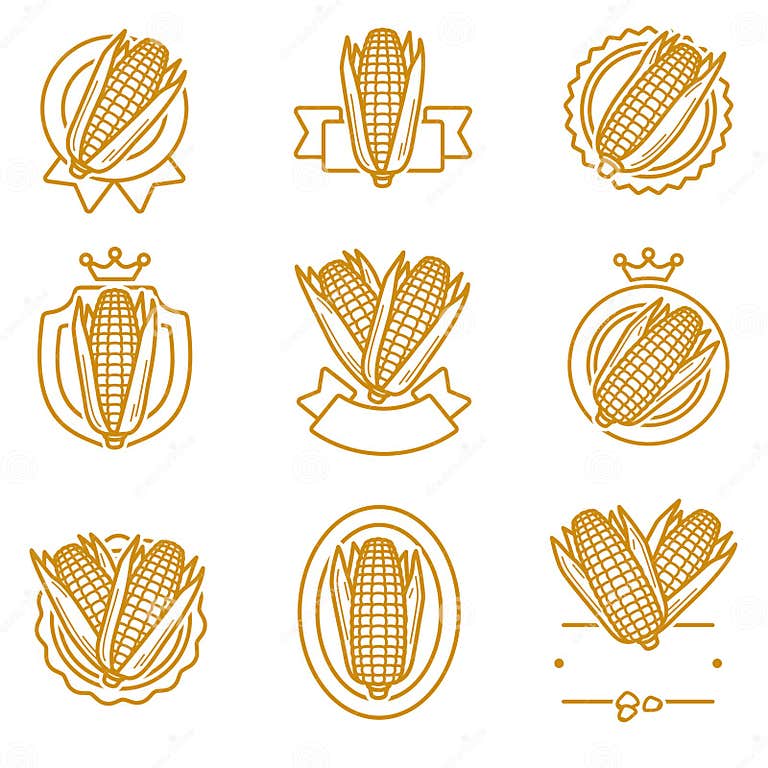 Corn Label and Element Set. Collection Icon Corn Stock Illustration ...