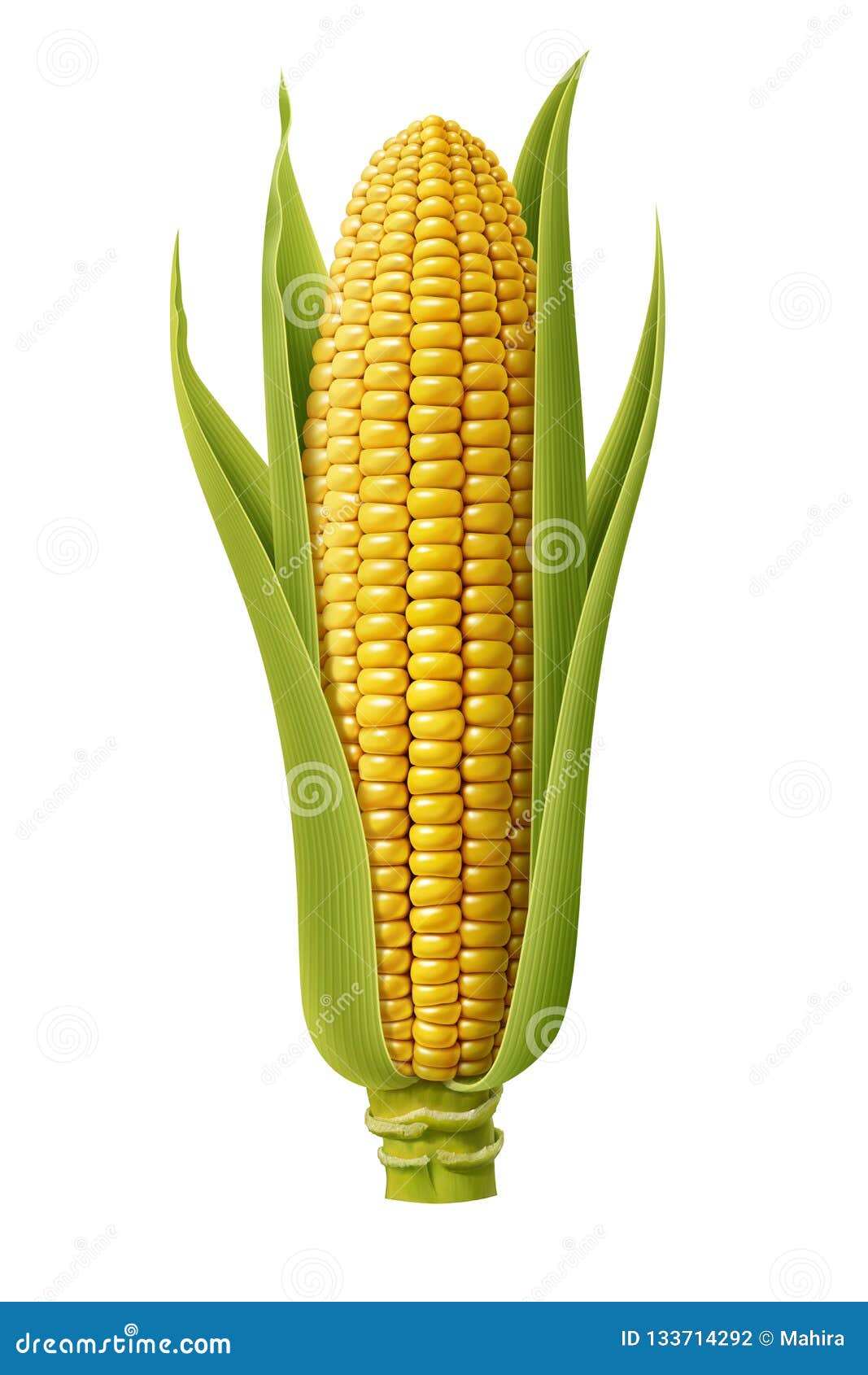 Corn Leaf Stock Illustrations – 23,037 Corn Leaf Stock Illustrations ...