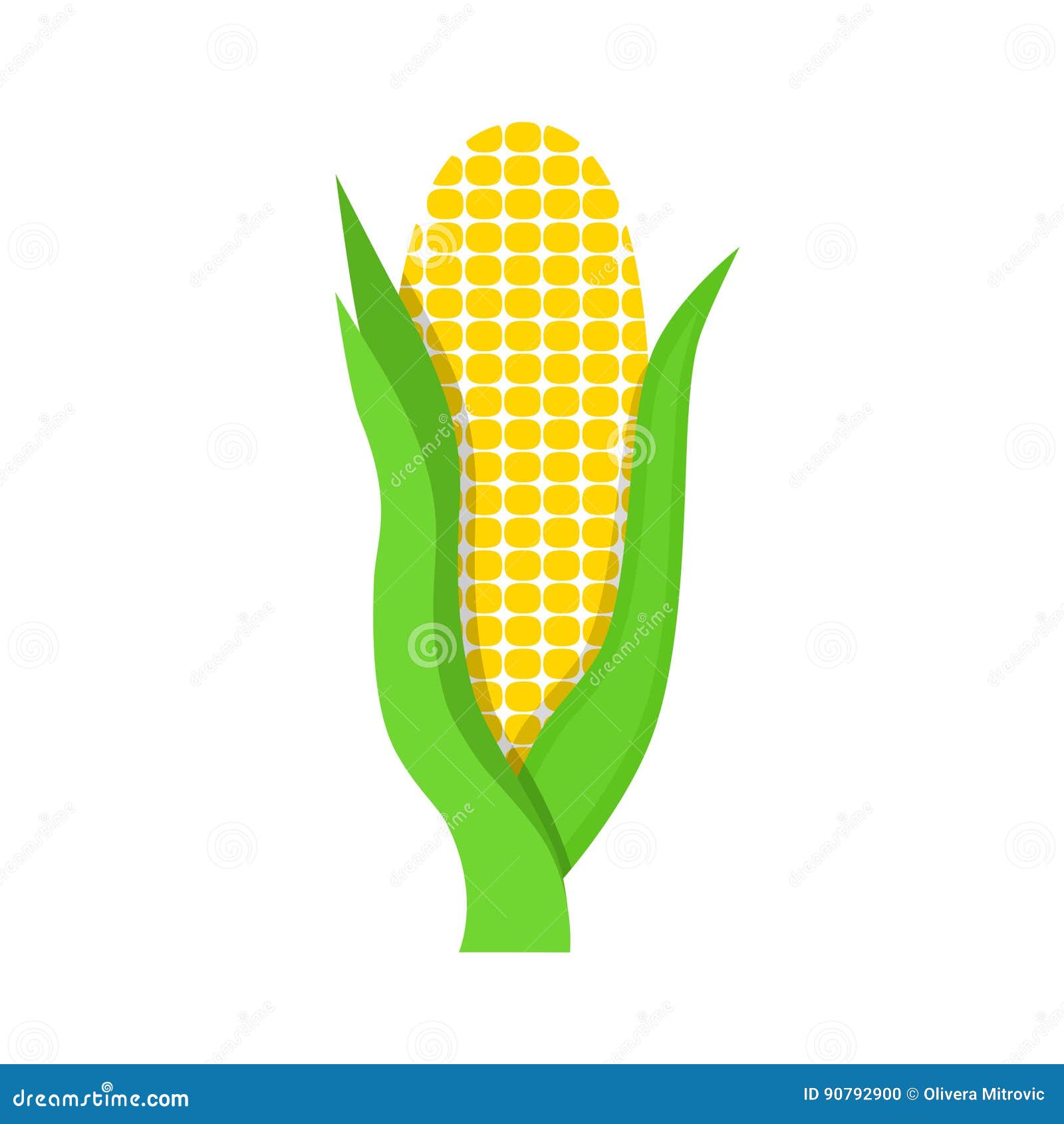 Corn with leaves stock vector. Illustration of husk, cartoon - 90792900