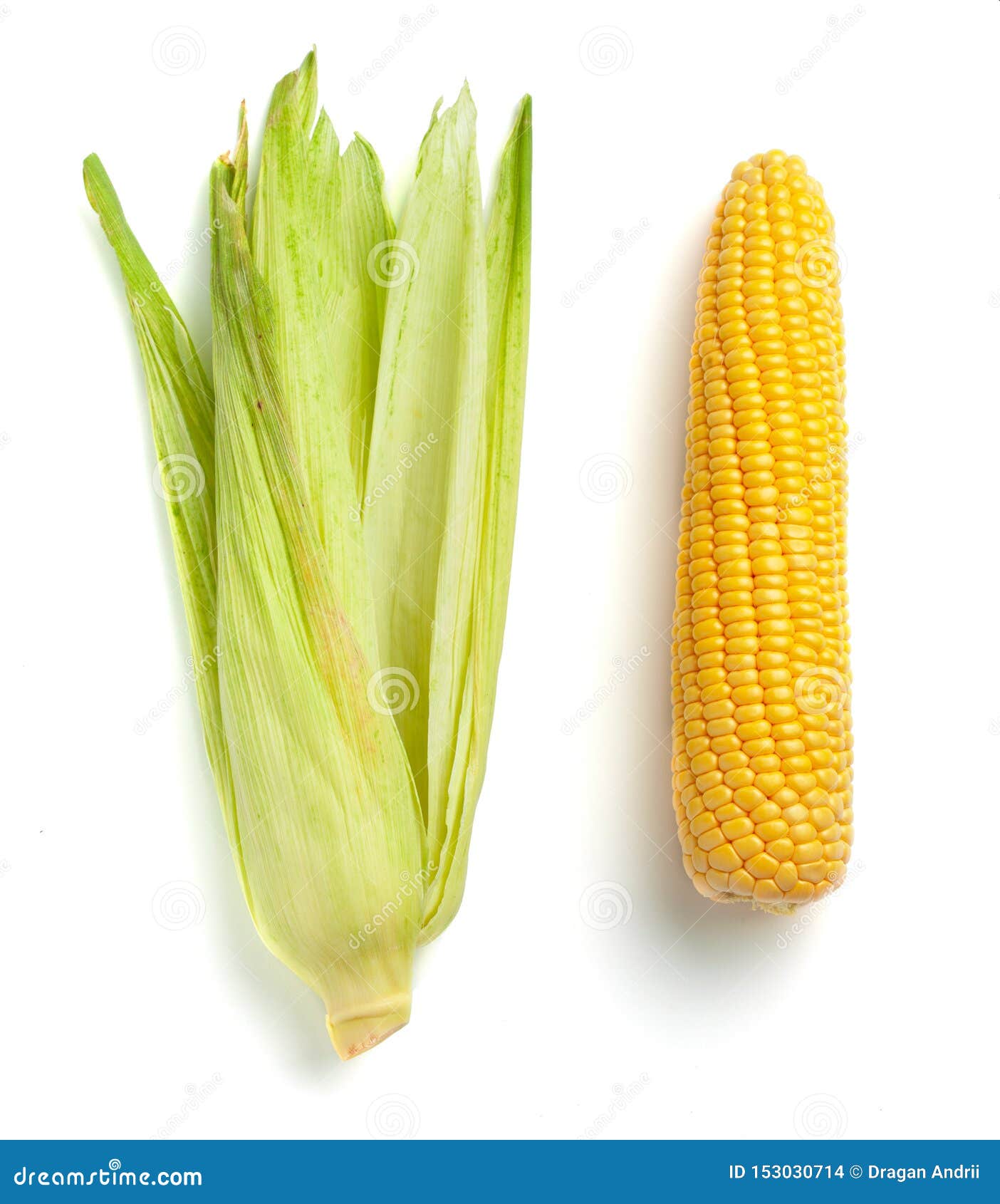 Corn in the Leaves Isolated on White Background. Stock Photo - Image of ...