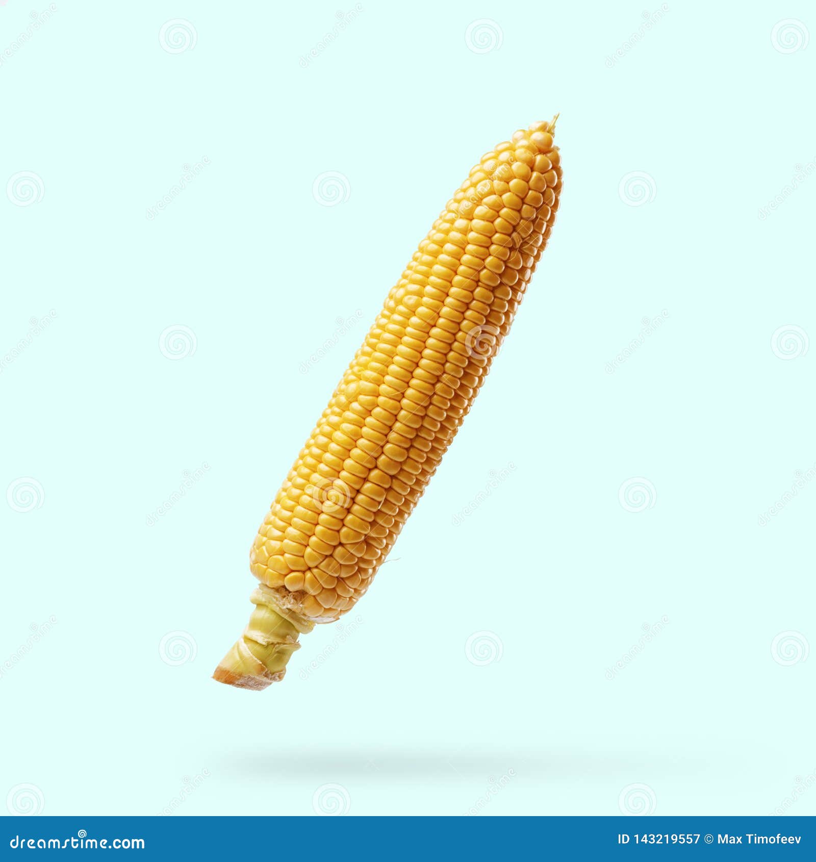 Corn on a Light Blue Background Stock Image - Image of kernel ...