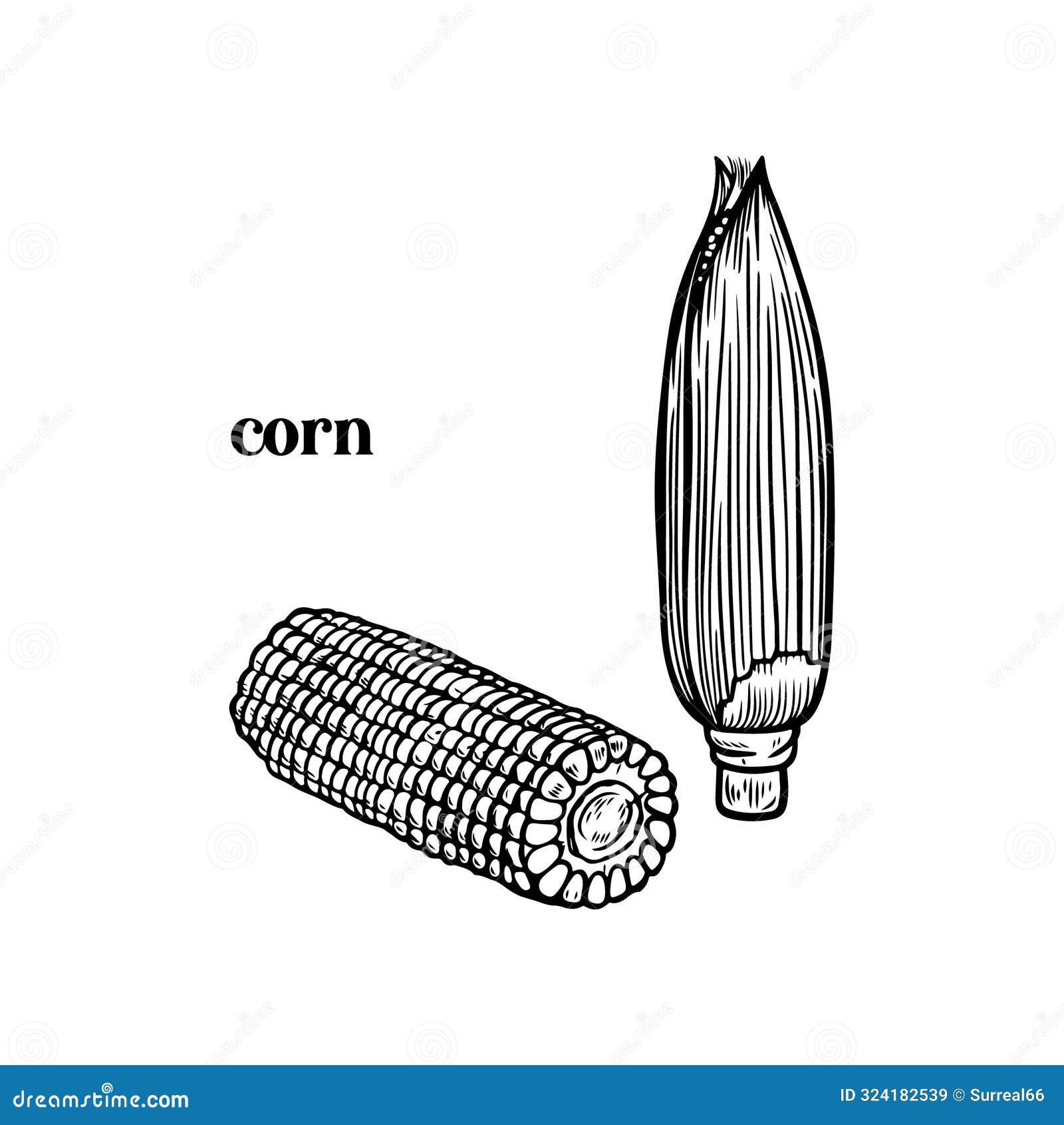 Corn Line Drawing Vector Illustration Stock Vector - Illustration of ...