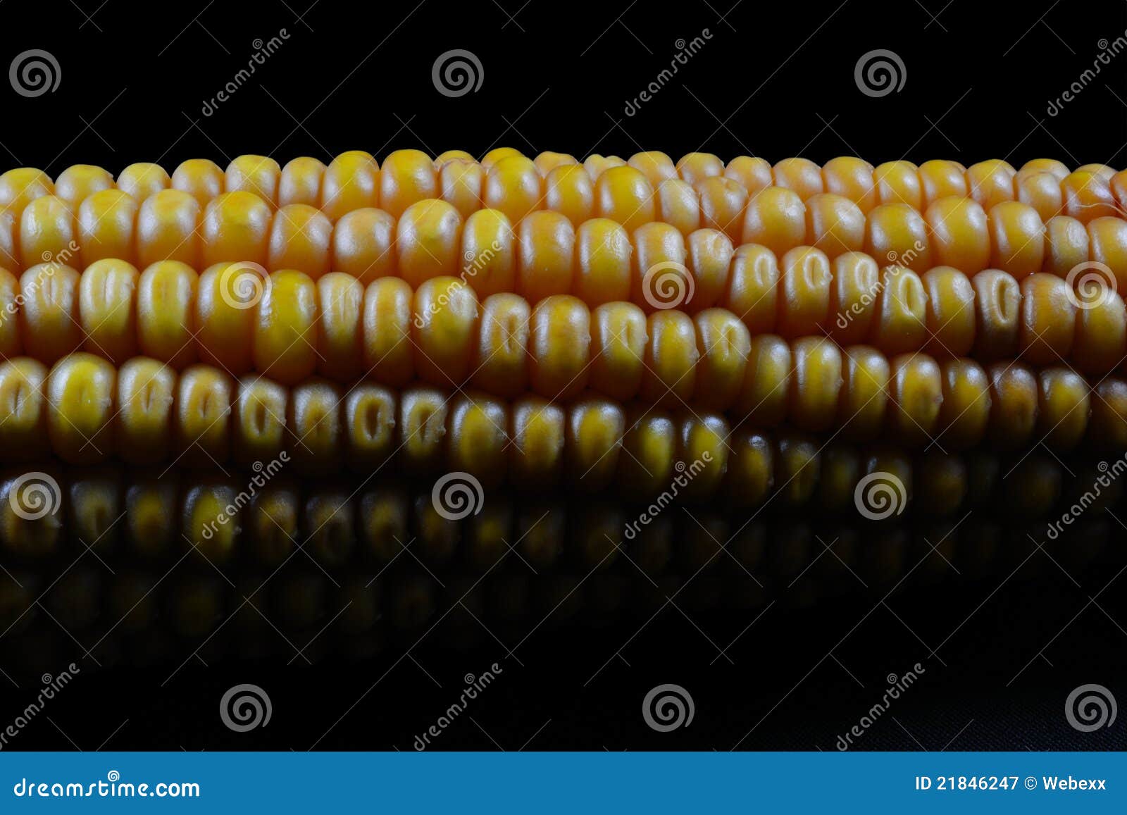 Corn lines stock image. Image of alternative, fuel, corn - 21846247