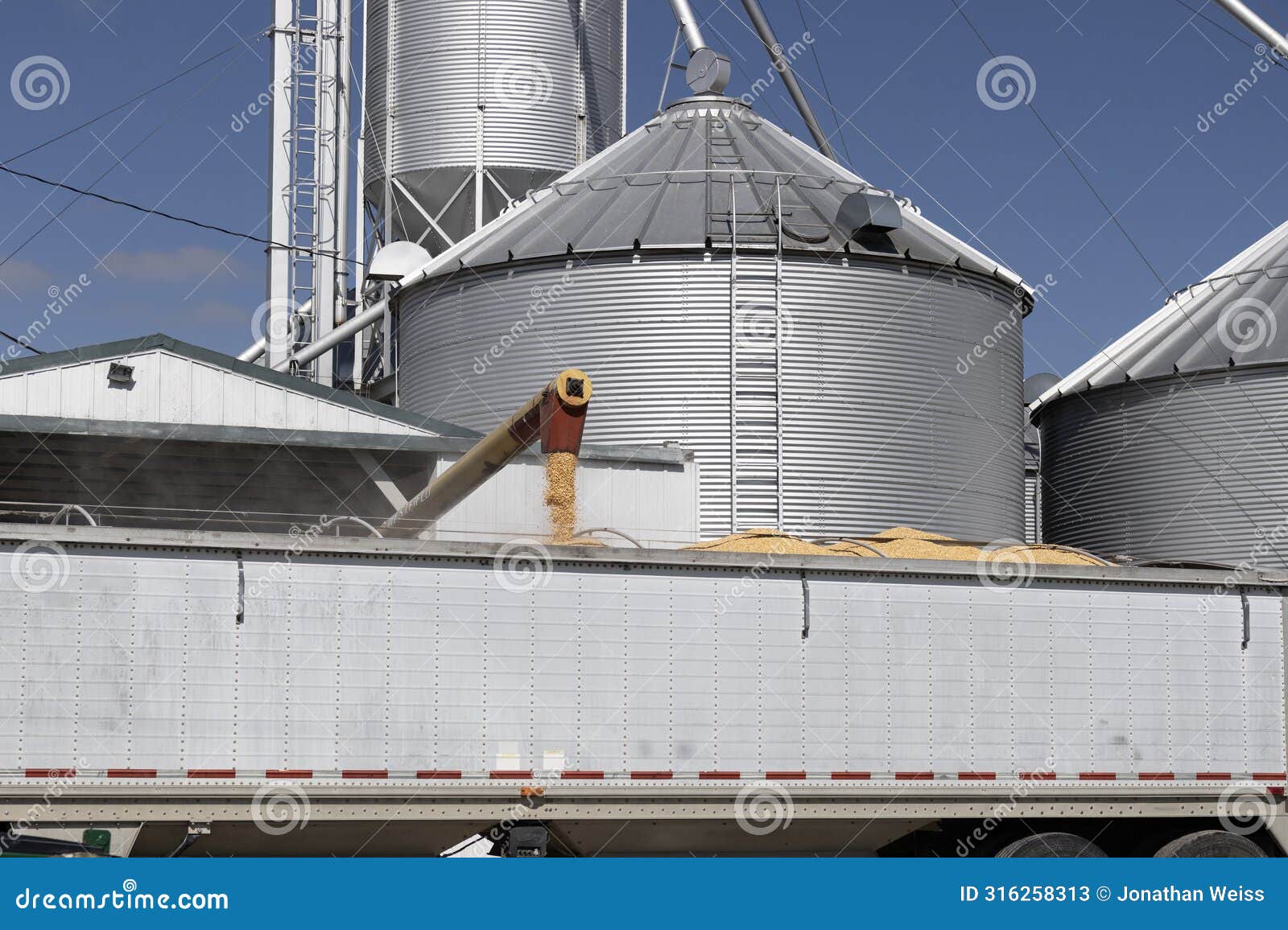 Corn Loading Onto a Truck. after Harvest, Corn from Grain Bins Loads ...
