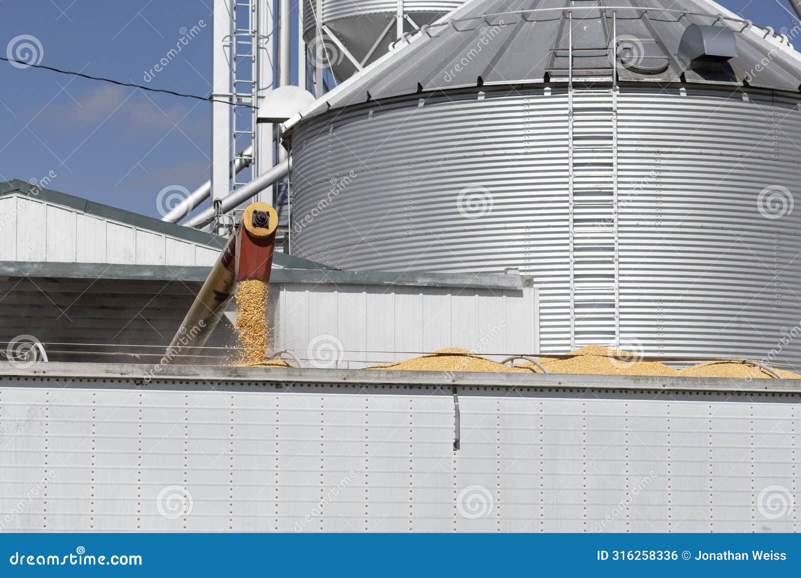 Corn Loading Onto a Truck. after Harvest, Corn from Grain Bins Loads ...