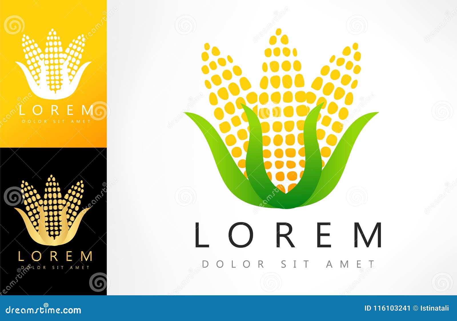 Corn logo vector. stock vector. Illustration of natural - 116103241