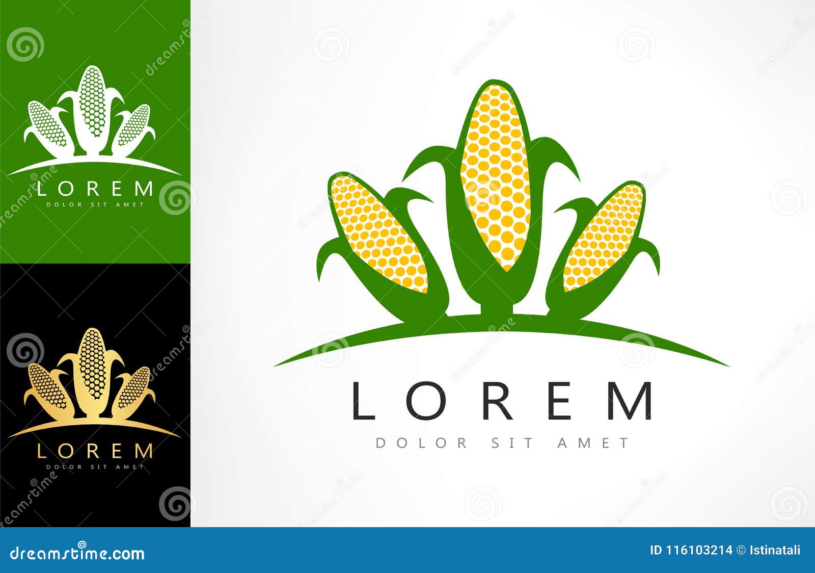 Corn logo vector. stock vector. Illustration of design - 116103214