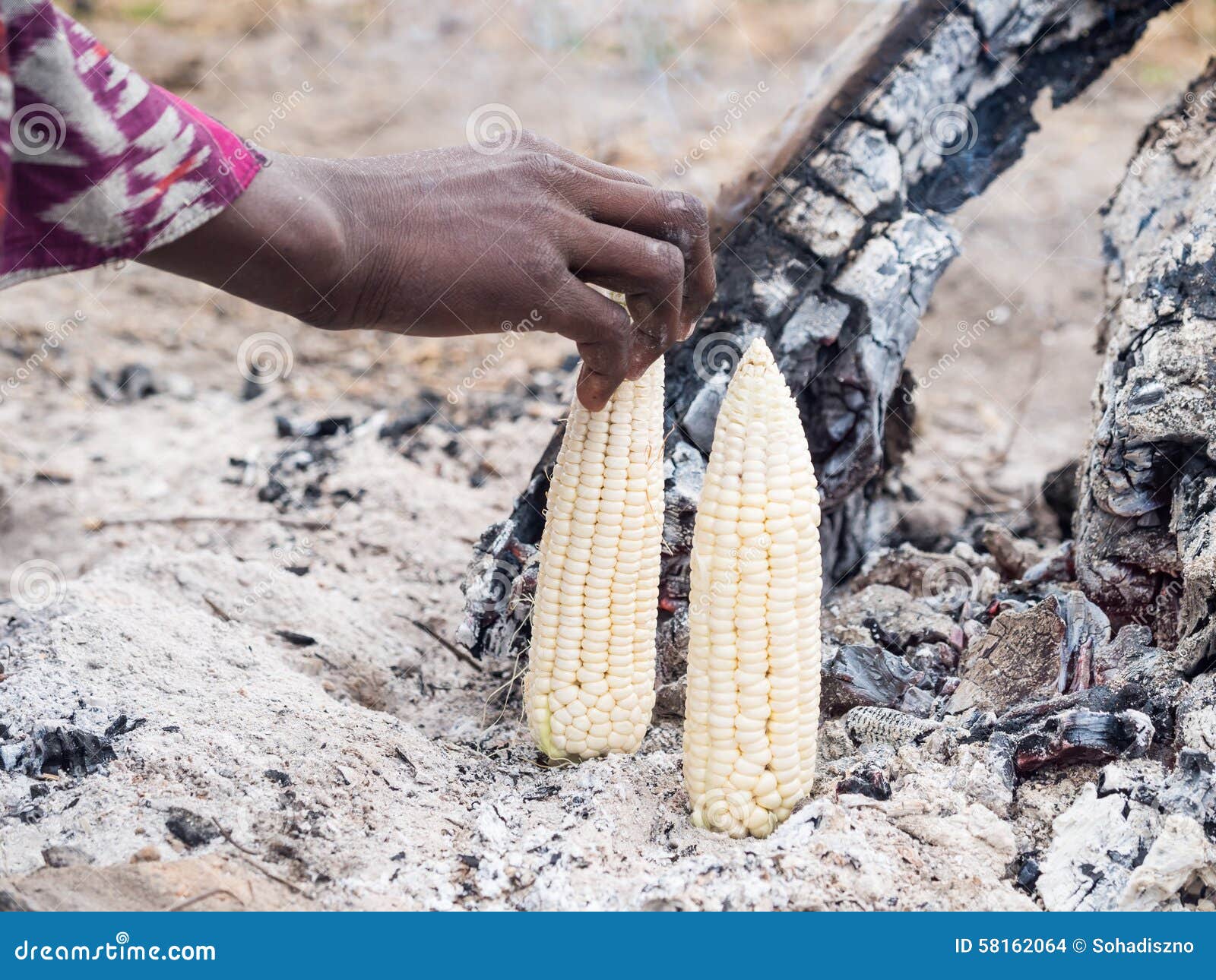 Corn stock photo. Image of food, fire, hand, corn, preparation - 58162064